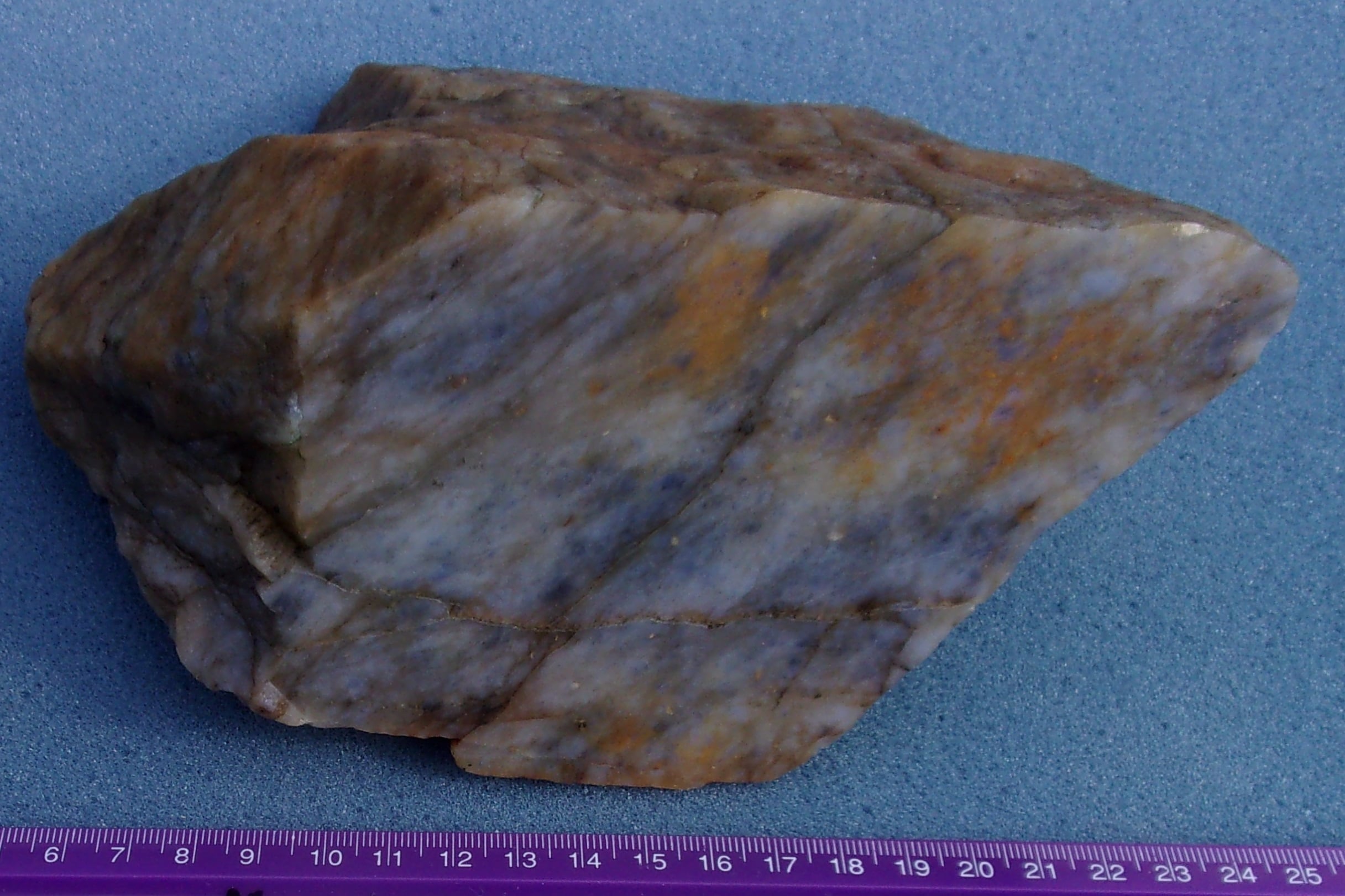 Mammoth Foot, Toe nail, or what? - Fossil ID - The Fossil Forum