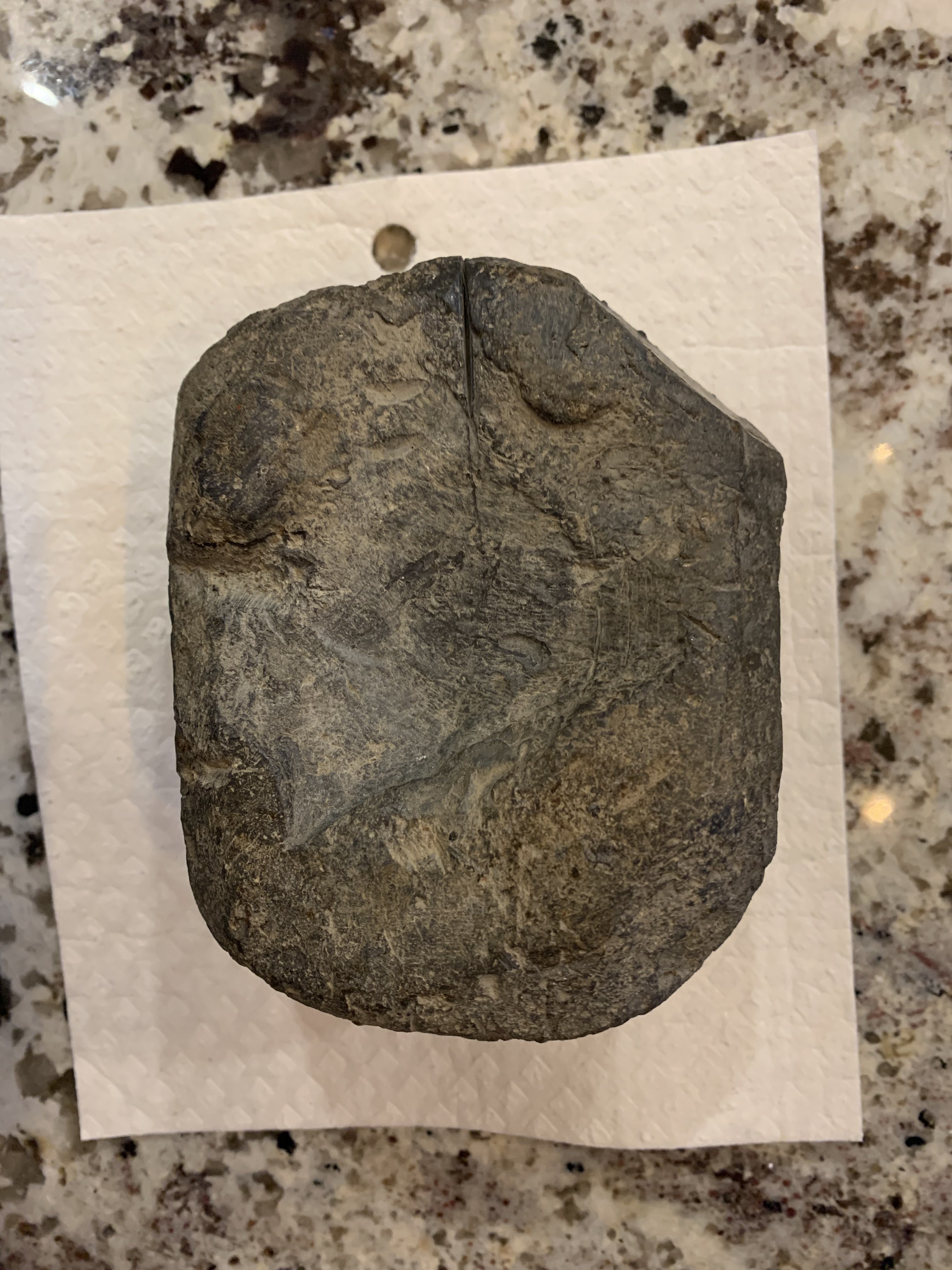 Super Heavy Rock - Rocks & Minerals - The Fossil Forum