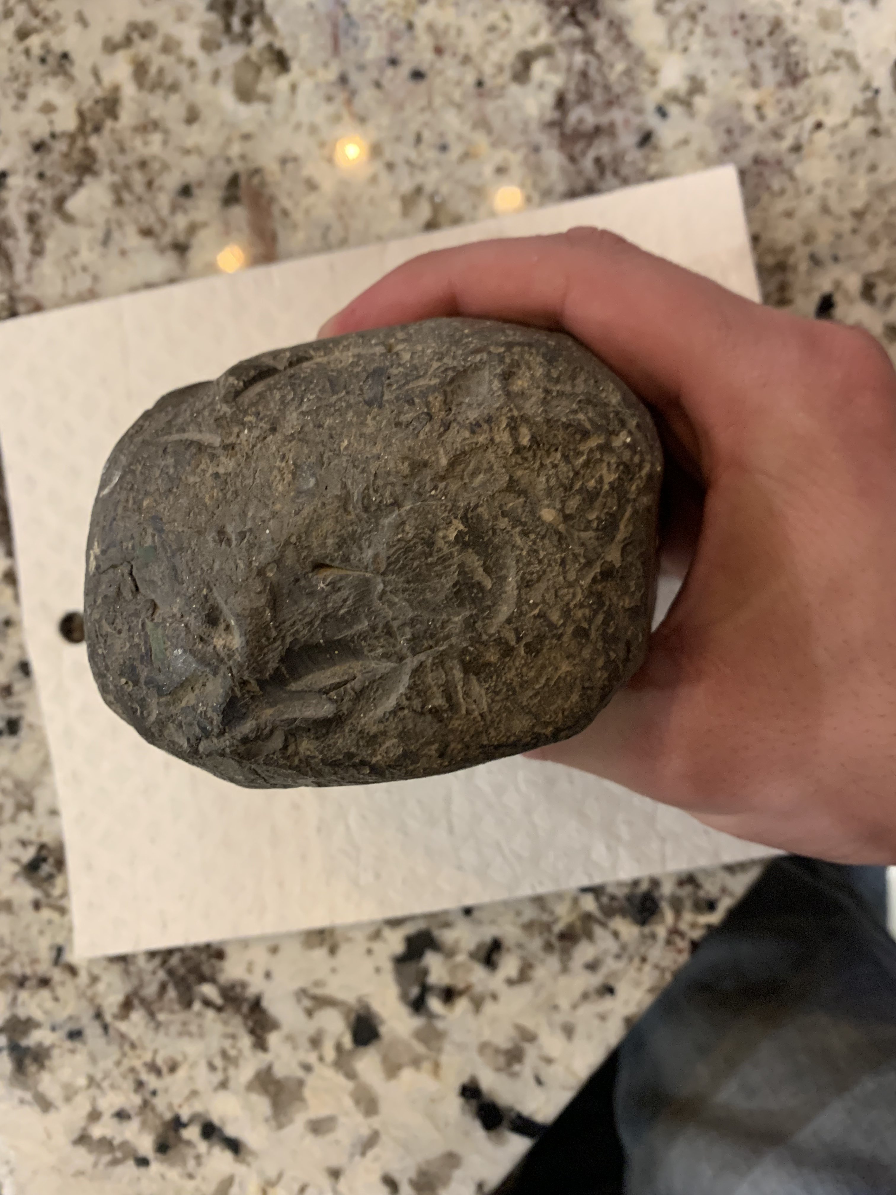 Super Heavy Rock - Rocks & Minerals - The Fossil Forum