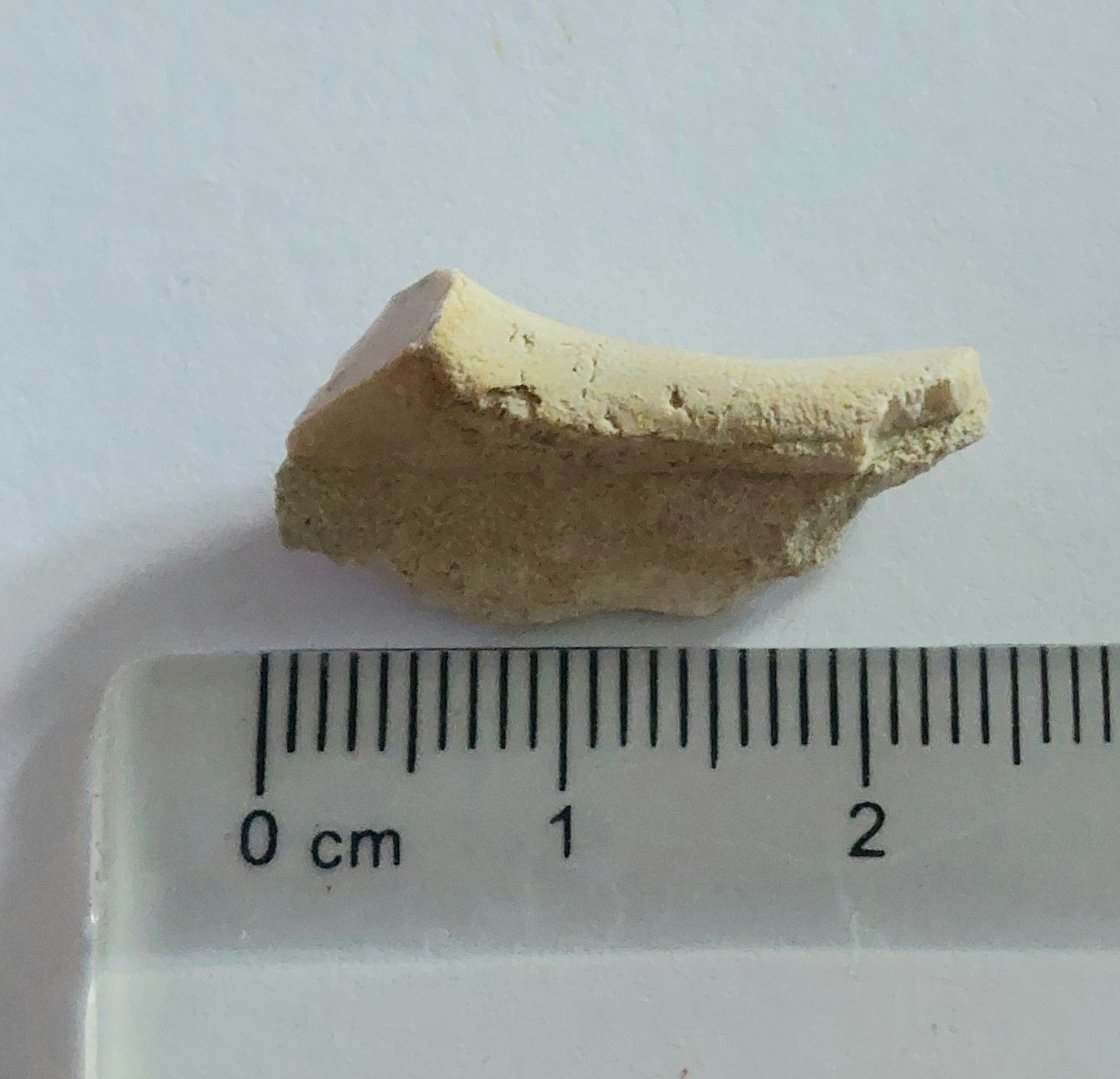 Hunstanton Cretaceous mysteries - Fossil ID - The Fossil Forum
