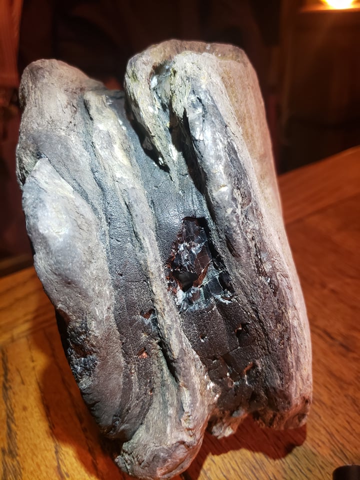 Petrified wood with coal like vein that can burn. - Questions & Answers ...