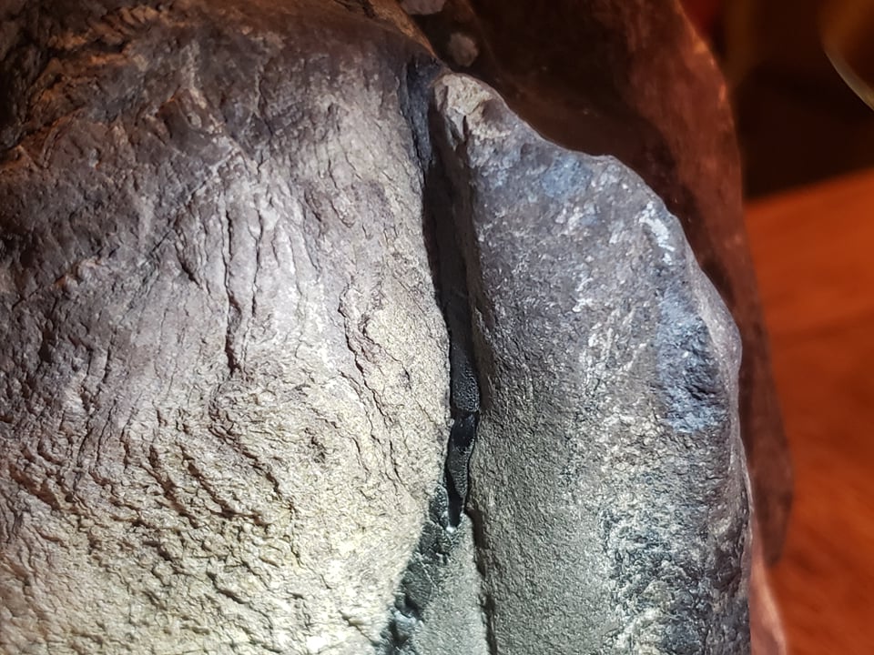 Petrified wood with coal like vein that can burn. - Questions & Answers ...