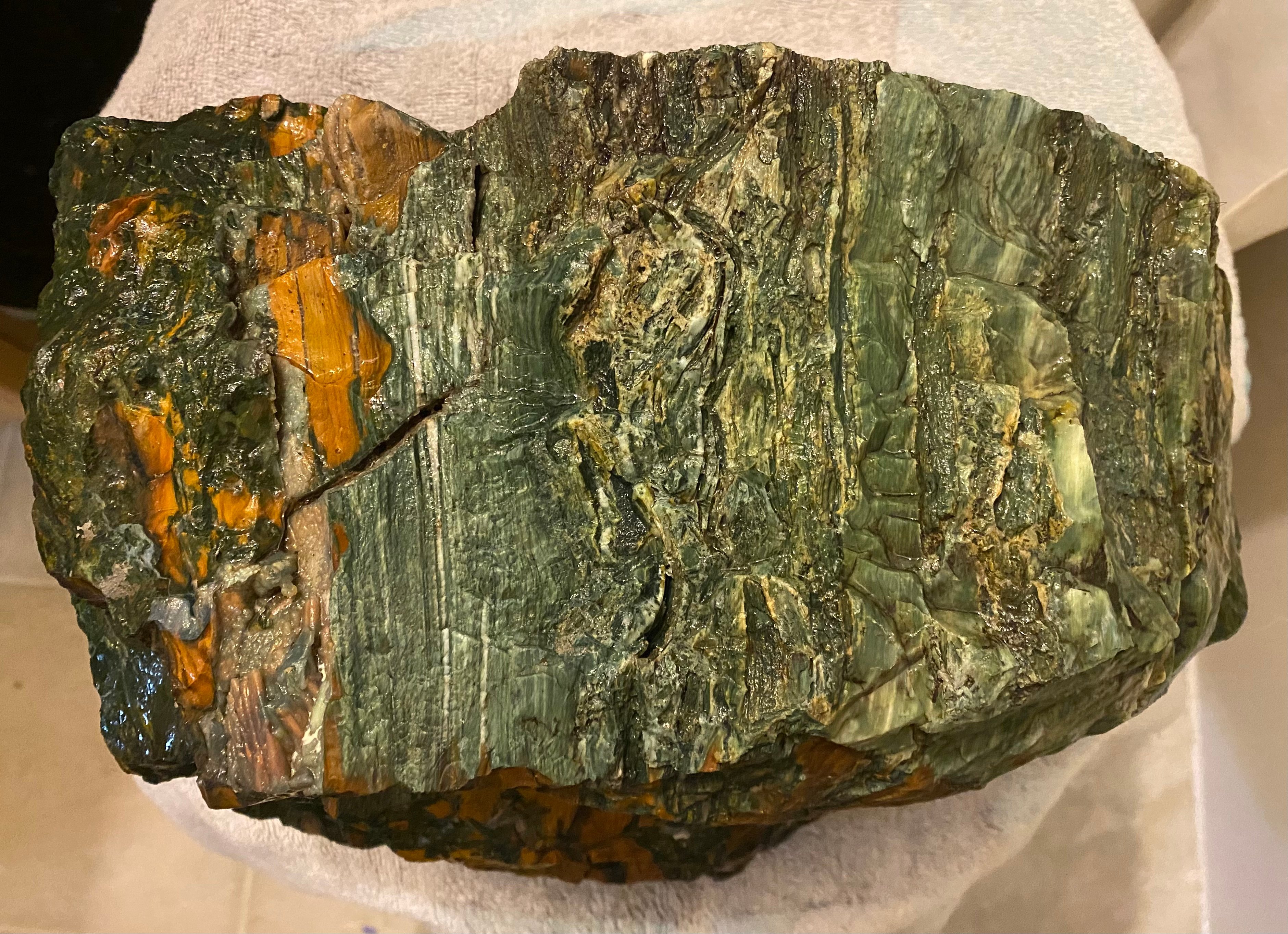 Chromium Petrified Wood?!?! - Fossil ID - The Fossil Forum