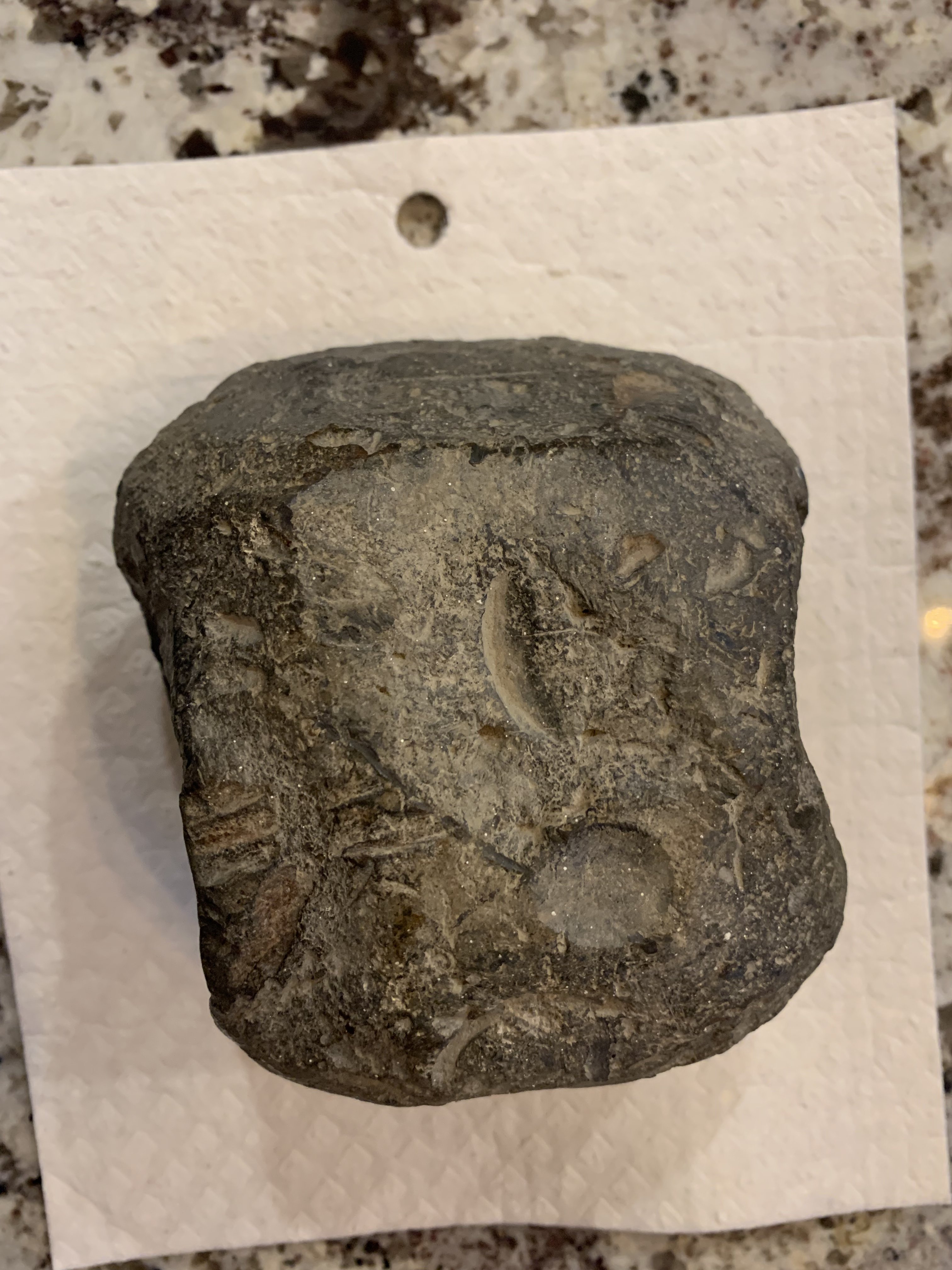 Super Heavy Rock - Rocks & Minerals - The Fossil Forum