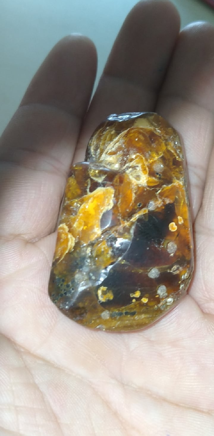 Amber or Semi fossilized tree resin or Petrified wood?? - Fossil ID ...