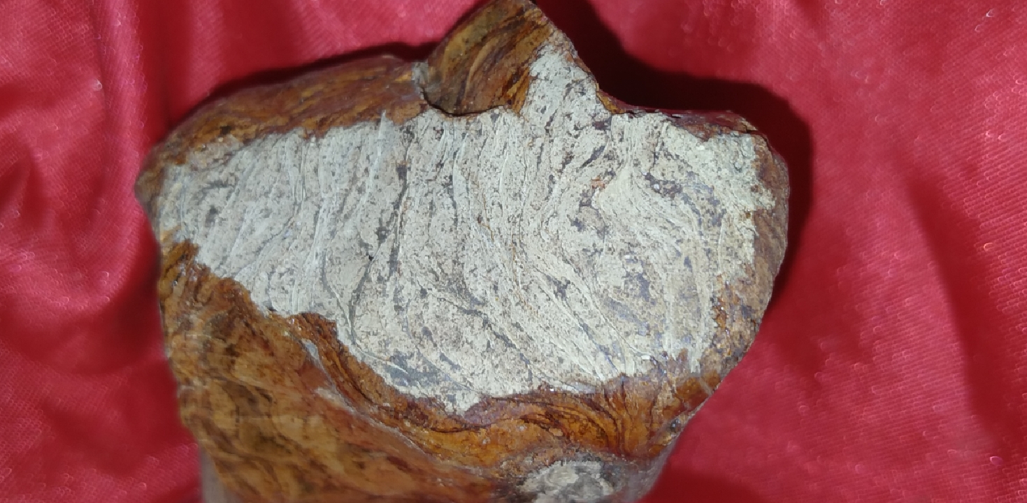 Amber or Semi fossilized tree resin or Petrified wood?? - Fossil ID ...