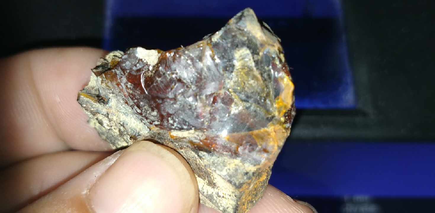 Amber or Semi fossilized tree resin or Petrified wood?? - Fossil ID ...