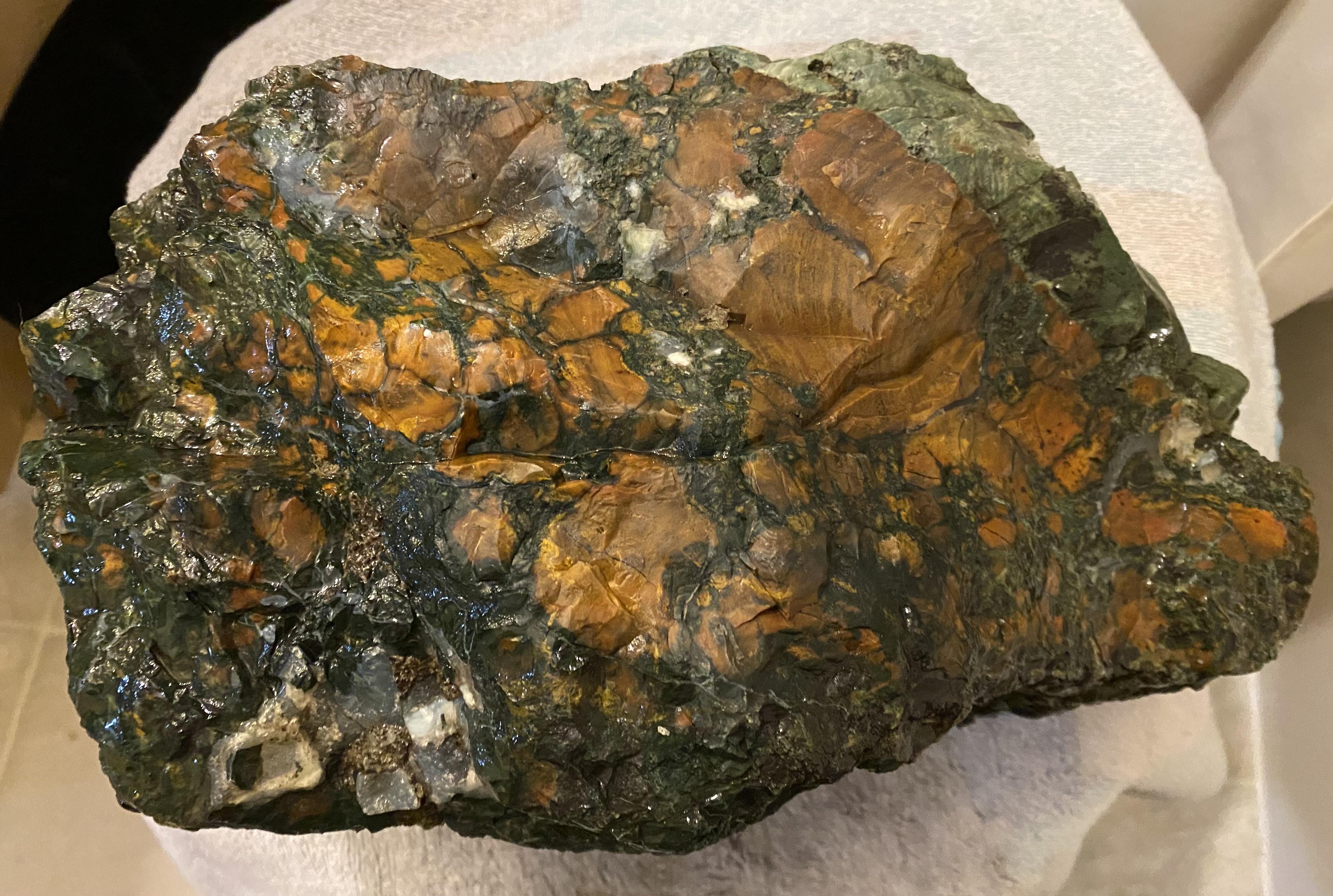 Chromium Petrified Wood?!?! - Fossil ID - The Fossil Forum