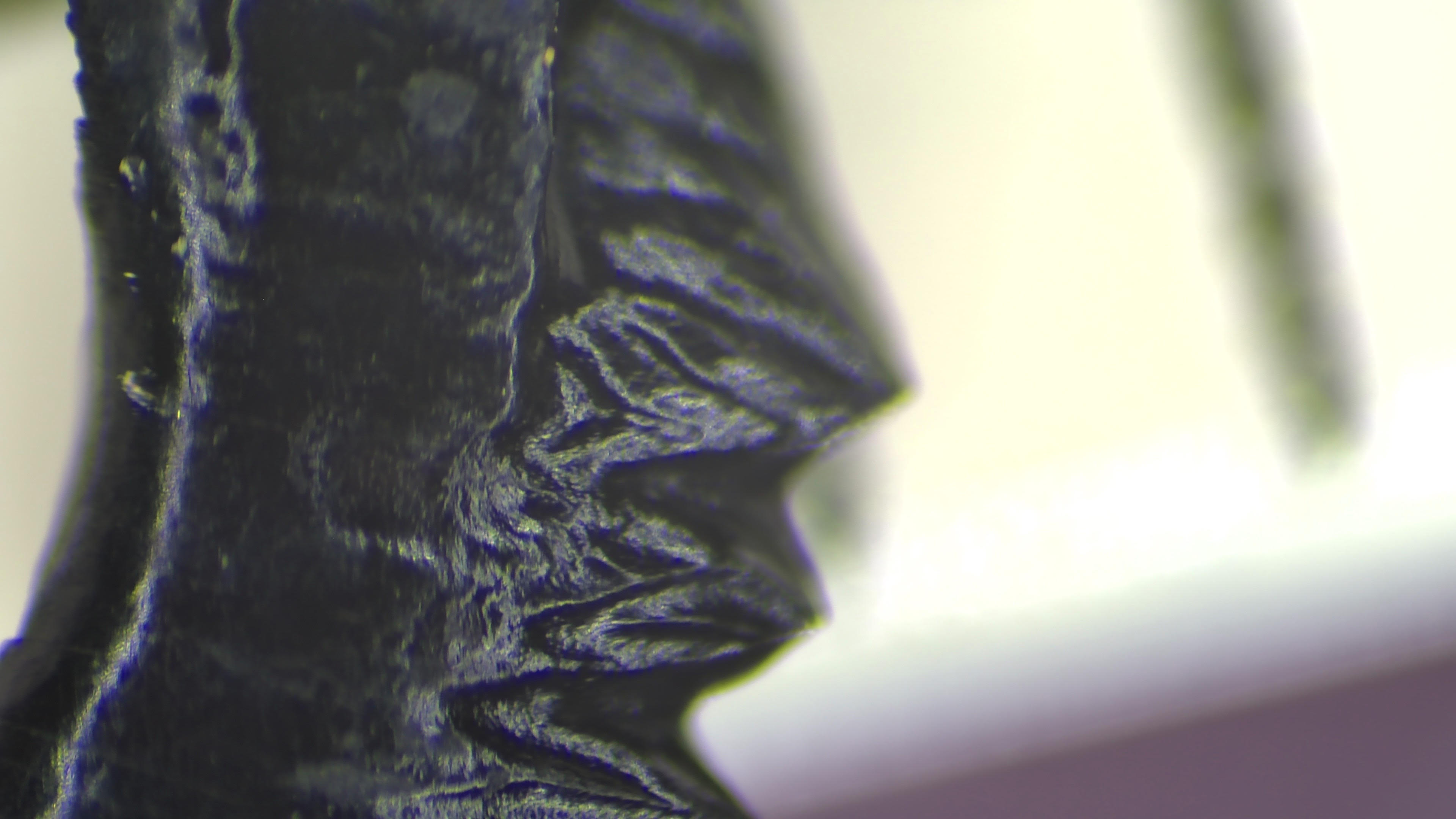 Lance formation teeth - Micro-paleontology - The Fossil Forum