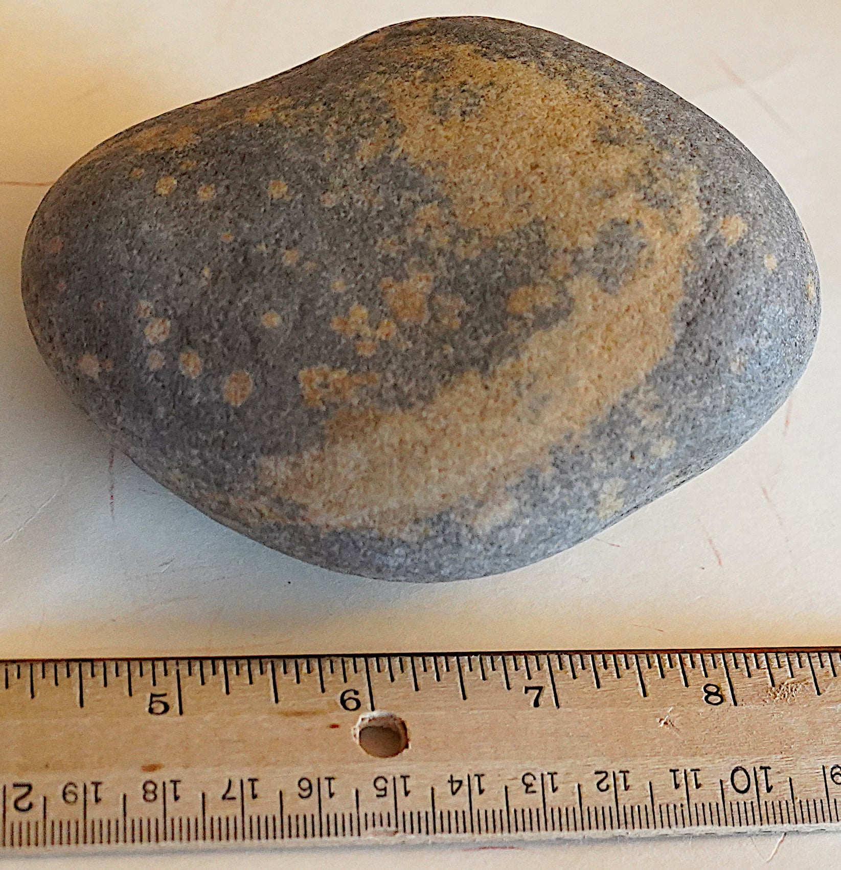 Reduction spots and microbial life - Fossil ID - The Fossil Forum