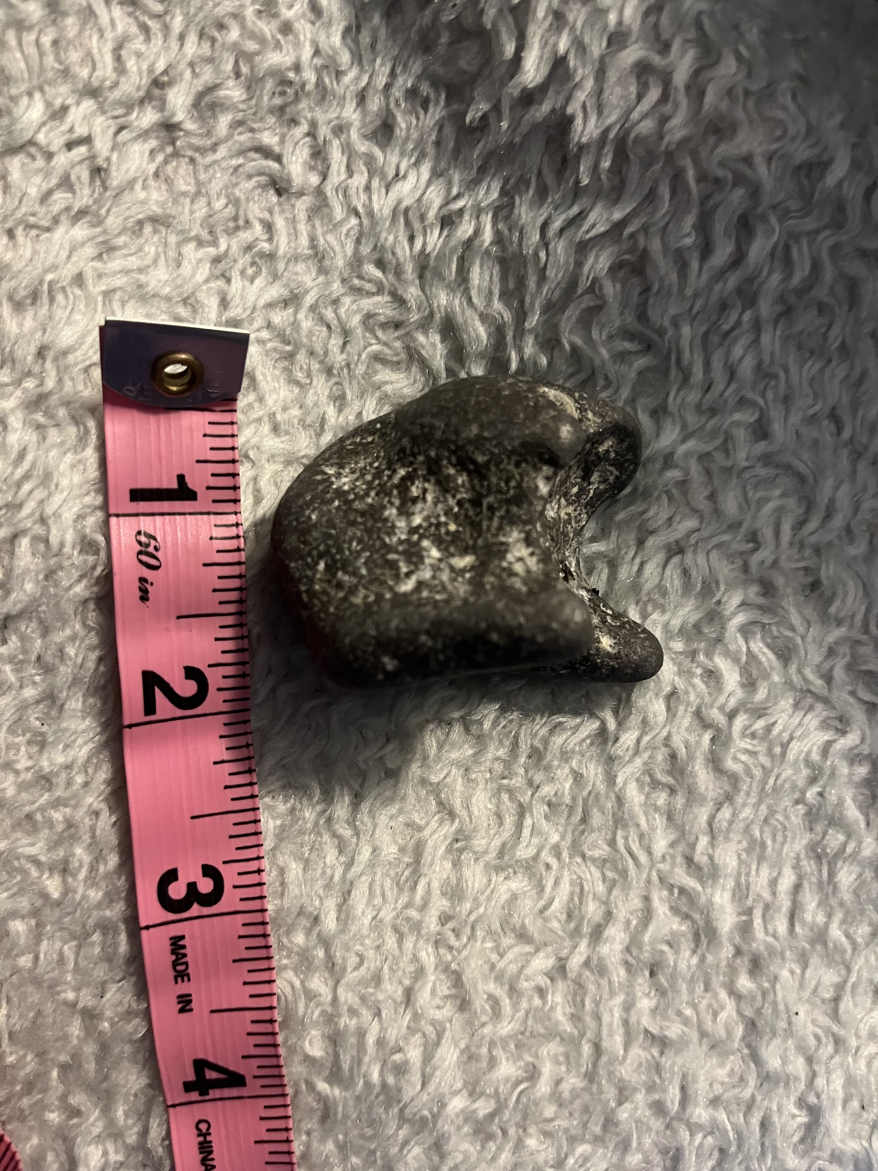 Tooth rock - Fossil ID - The Fossil Forum