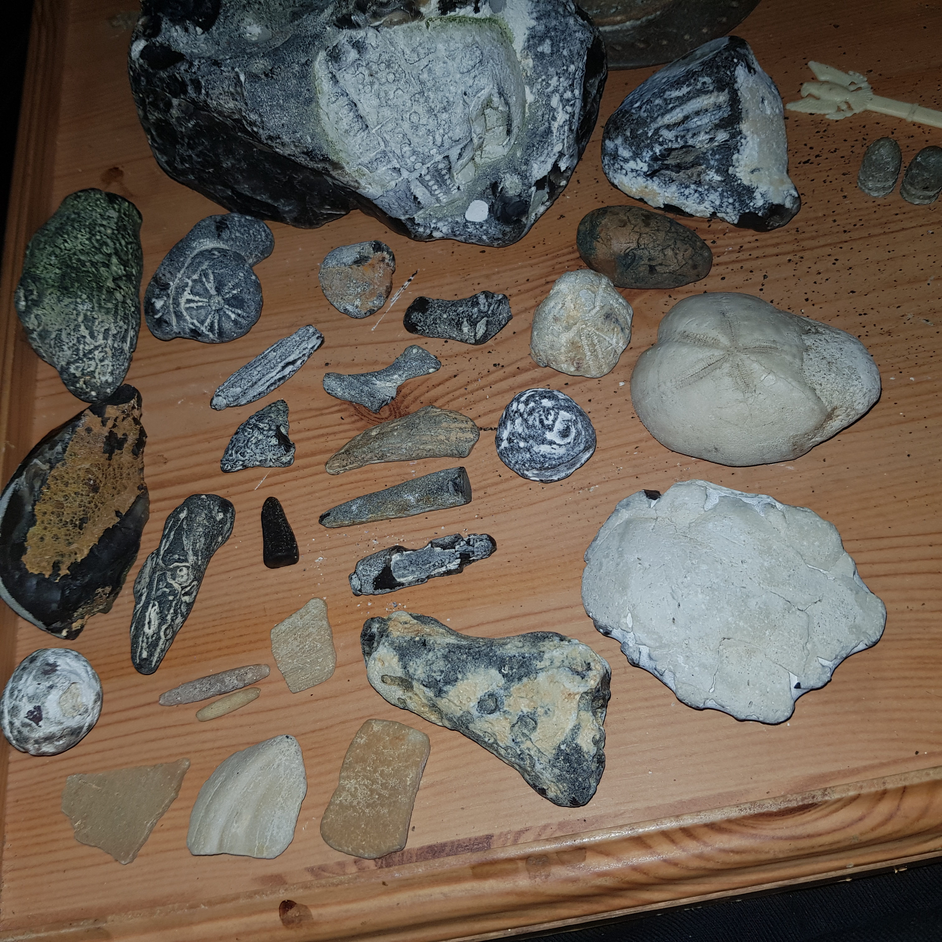 Keep finding bone and tooth shaped flint while collecting plastic ...