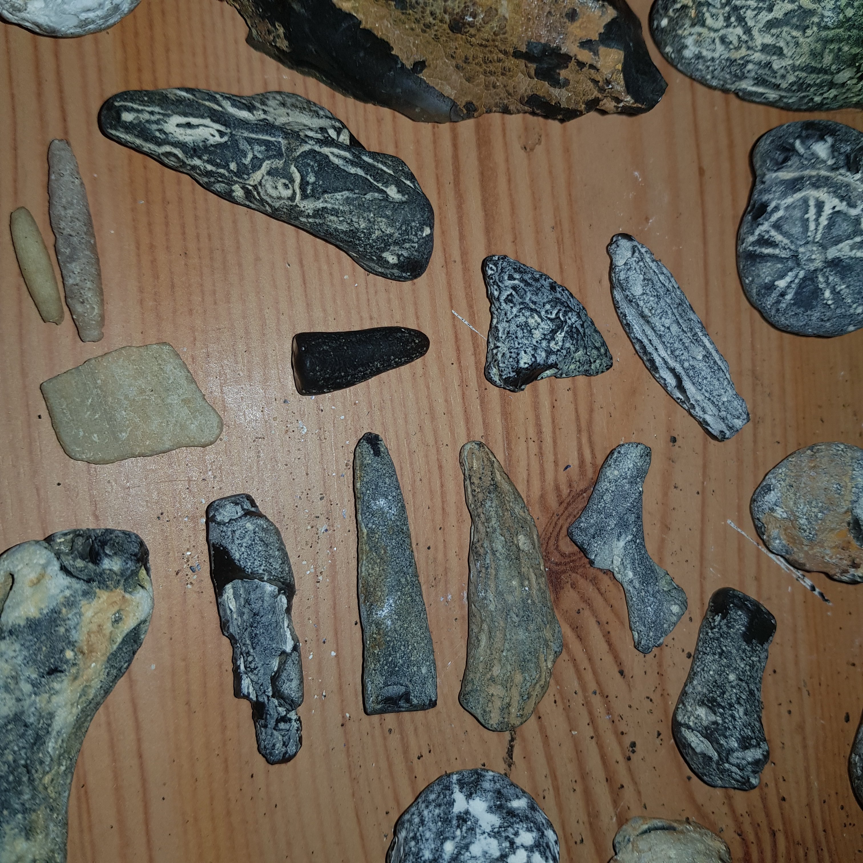 Keep finding bone and tooth shaped flint while collecting plastic ...