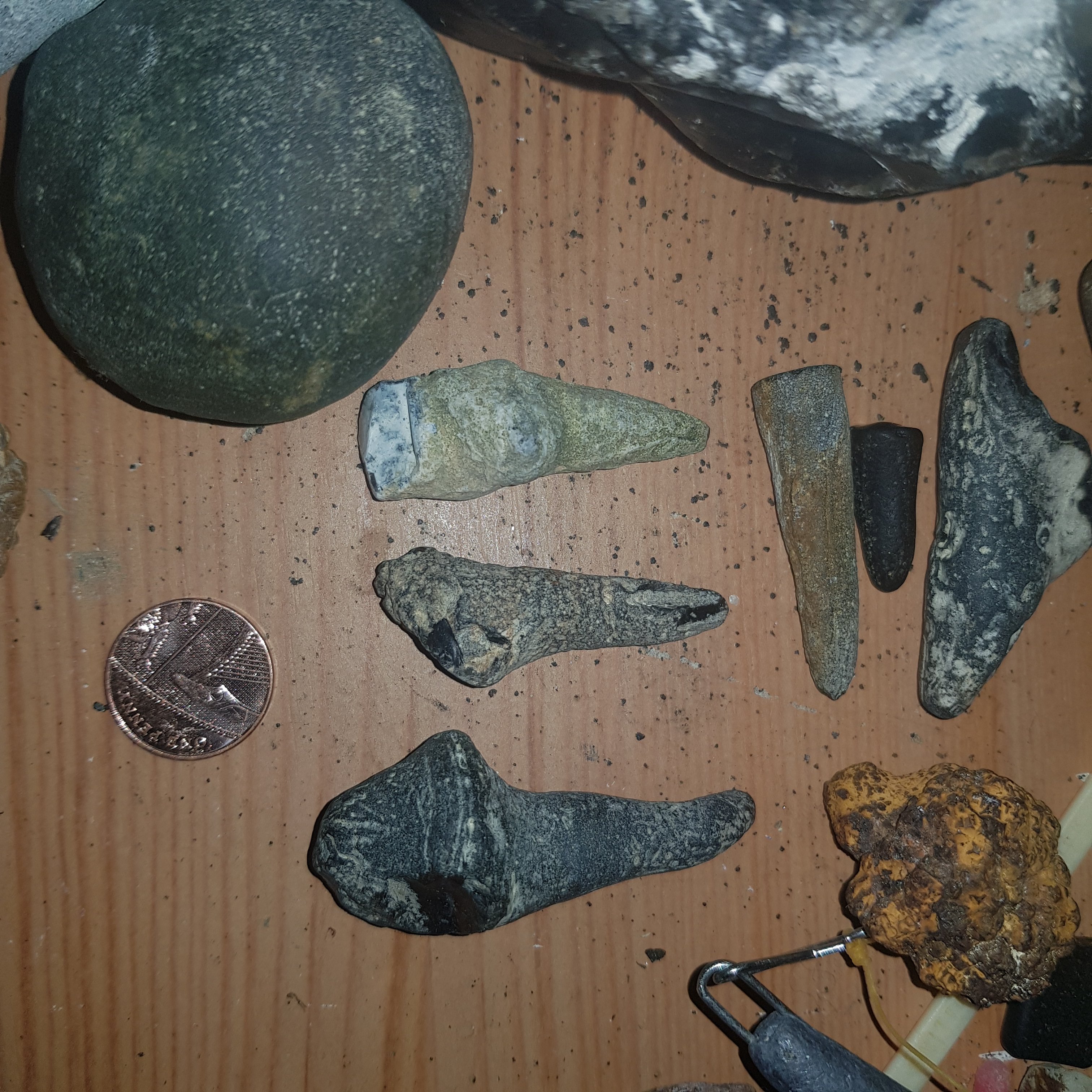Keep finding bone and tooth shaped flint while collecting plastic ...