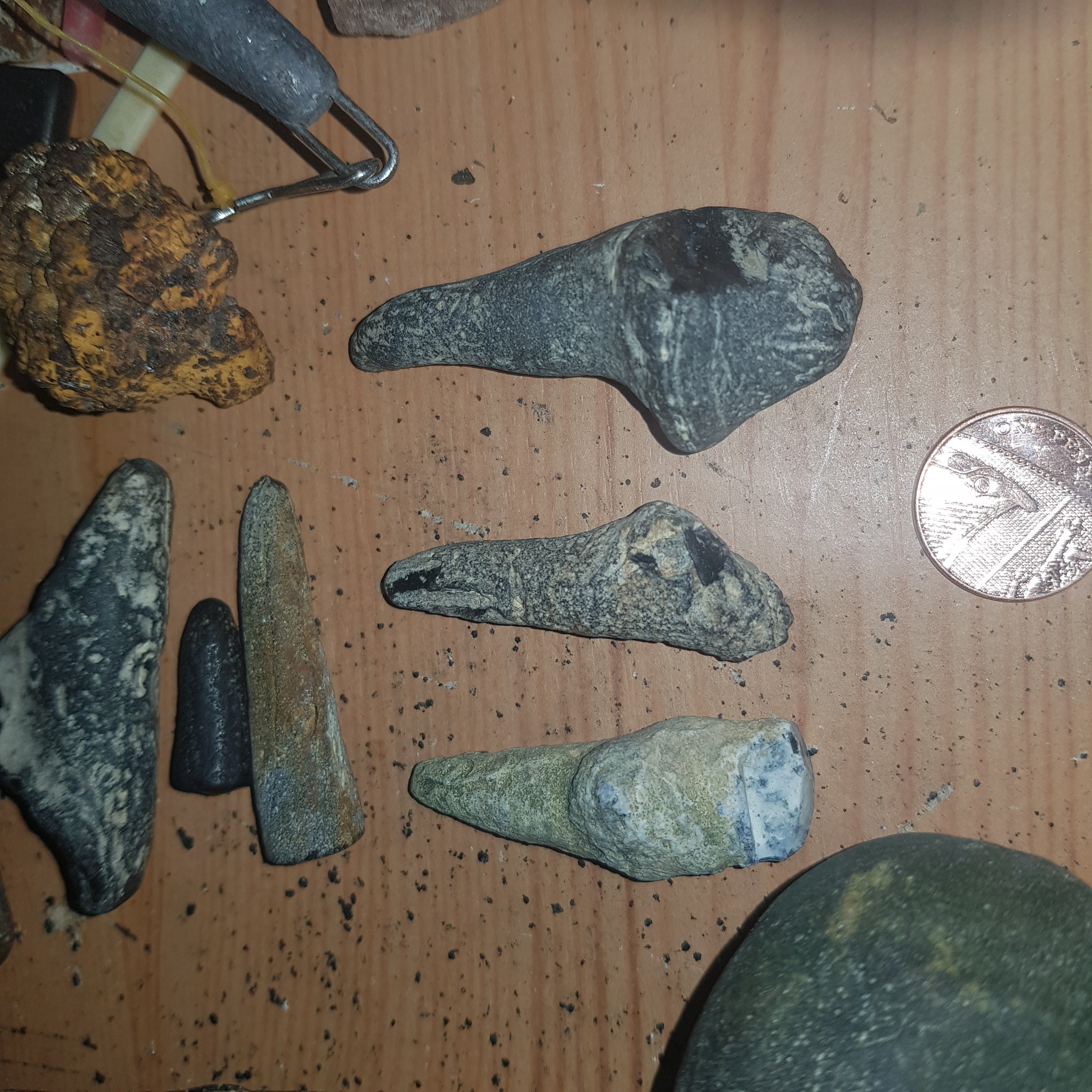 Keep finding bone and tooth shaped flint while collecting plastic ...