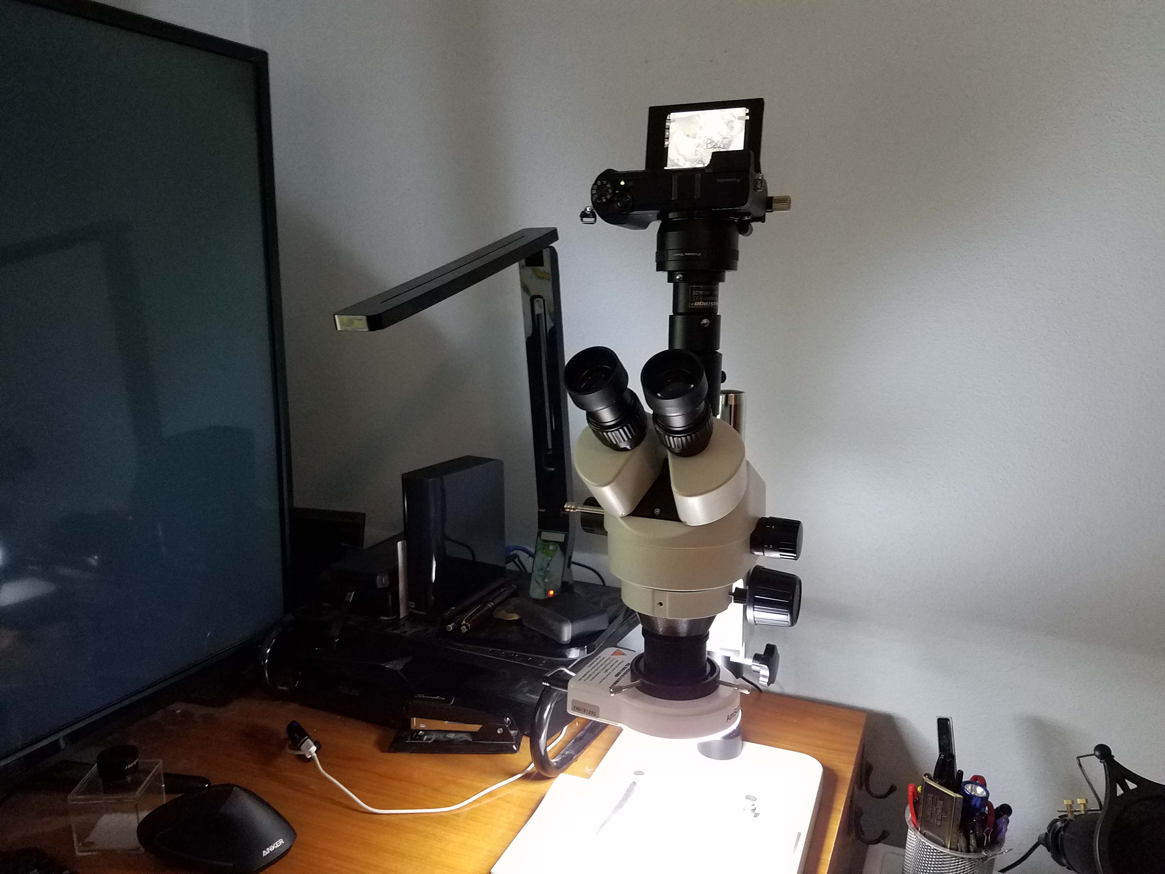 Microscope recommendation for taking photos of shark teeth - Collecting ...