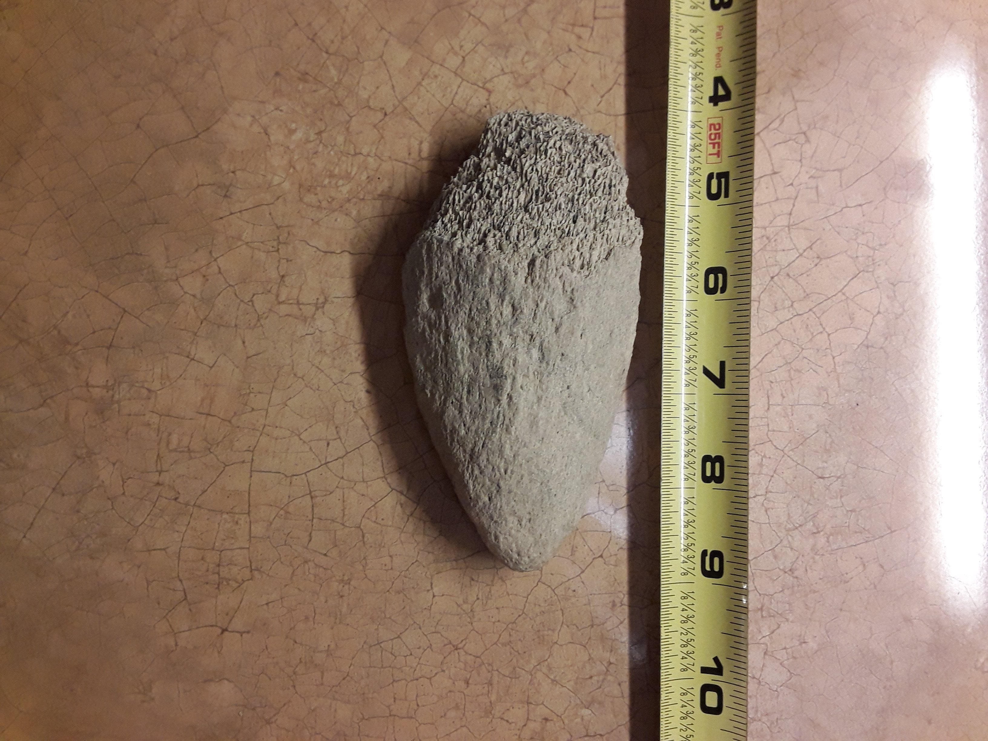 Large Bone Fragment - Fossil ID - The Fossil Forum