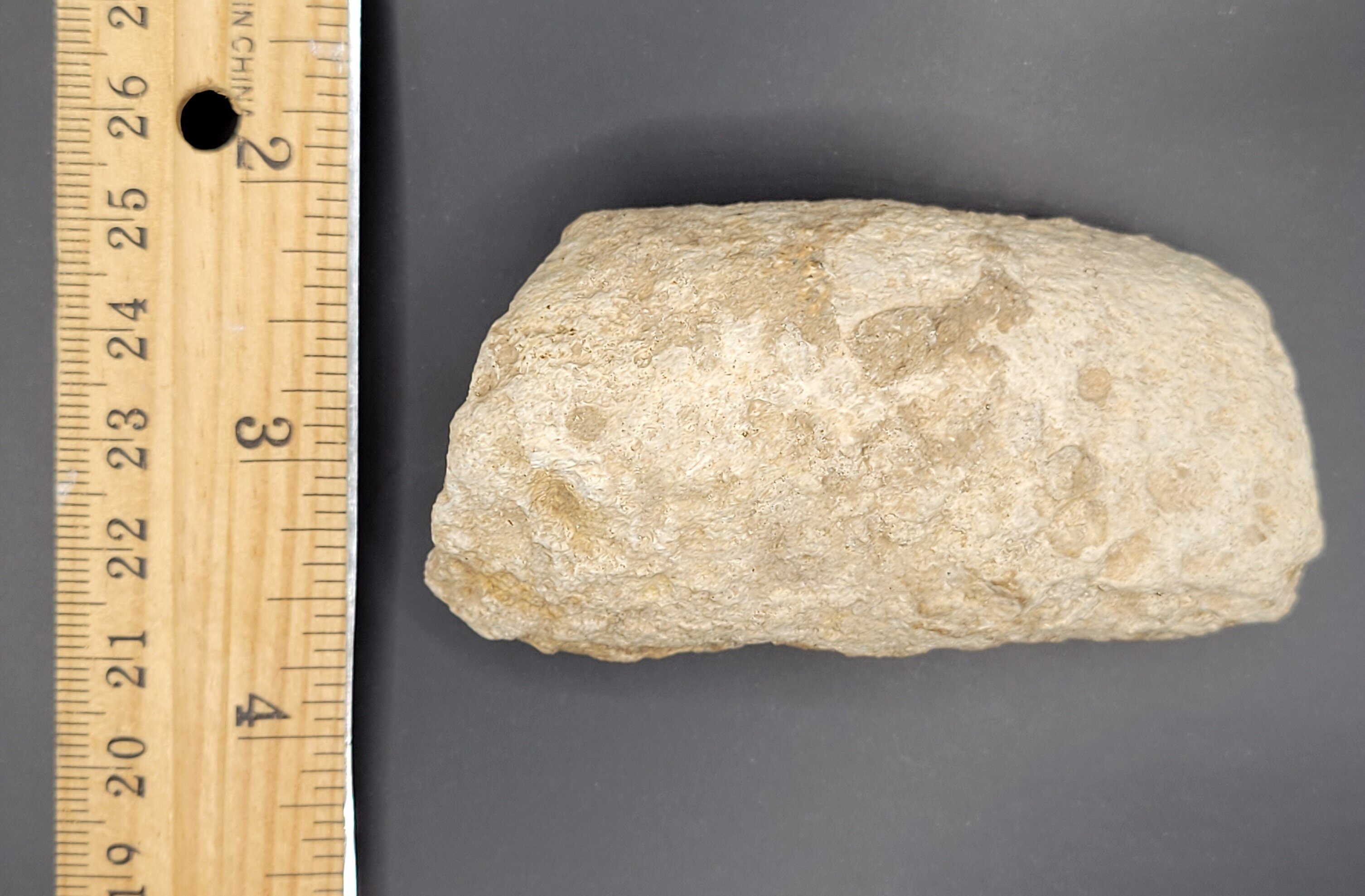 Possible Mammal Bone Fossil Cast?? - Fossil ID - The Fossil Forum
