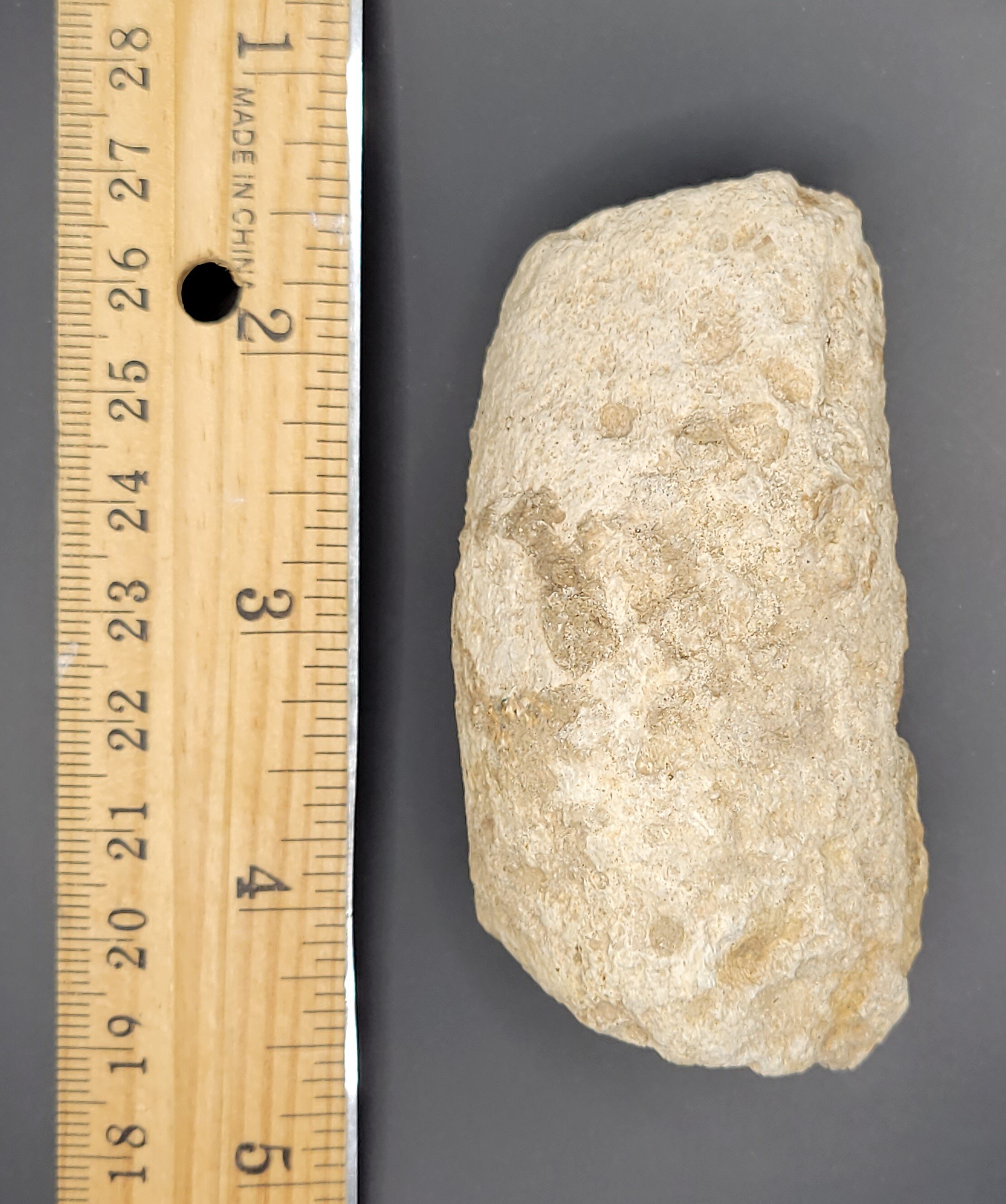 Possible Mammal Bone Fossil Cast?? - Fossil ID - The Fossil Forum