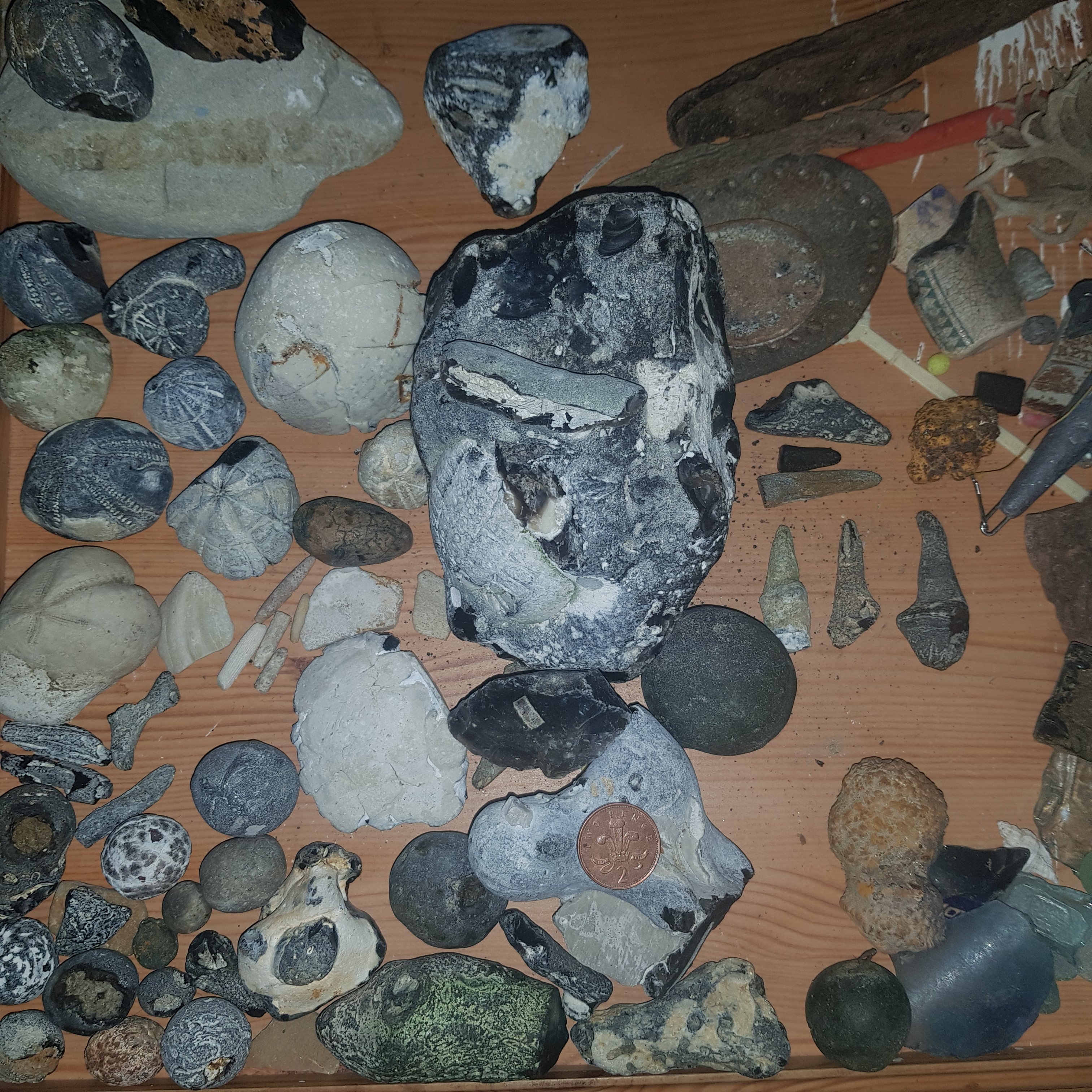 Keep finding bone and tooth shaped flint while collecting plastic ...
