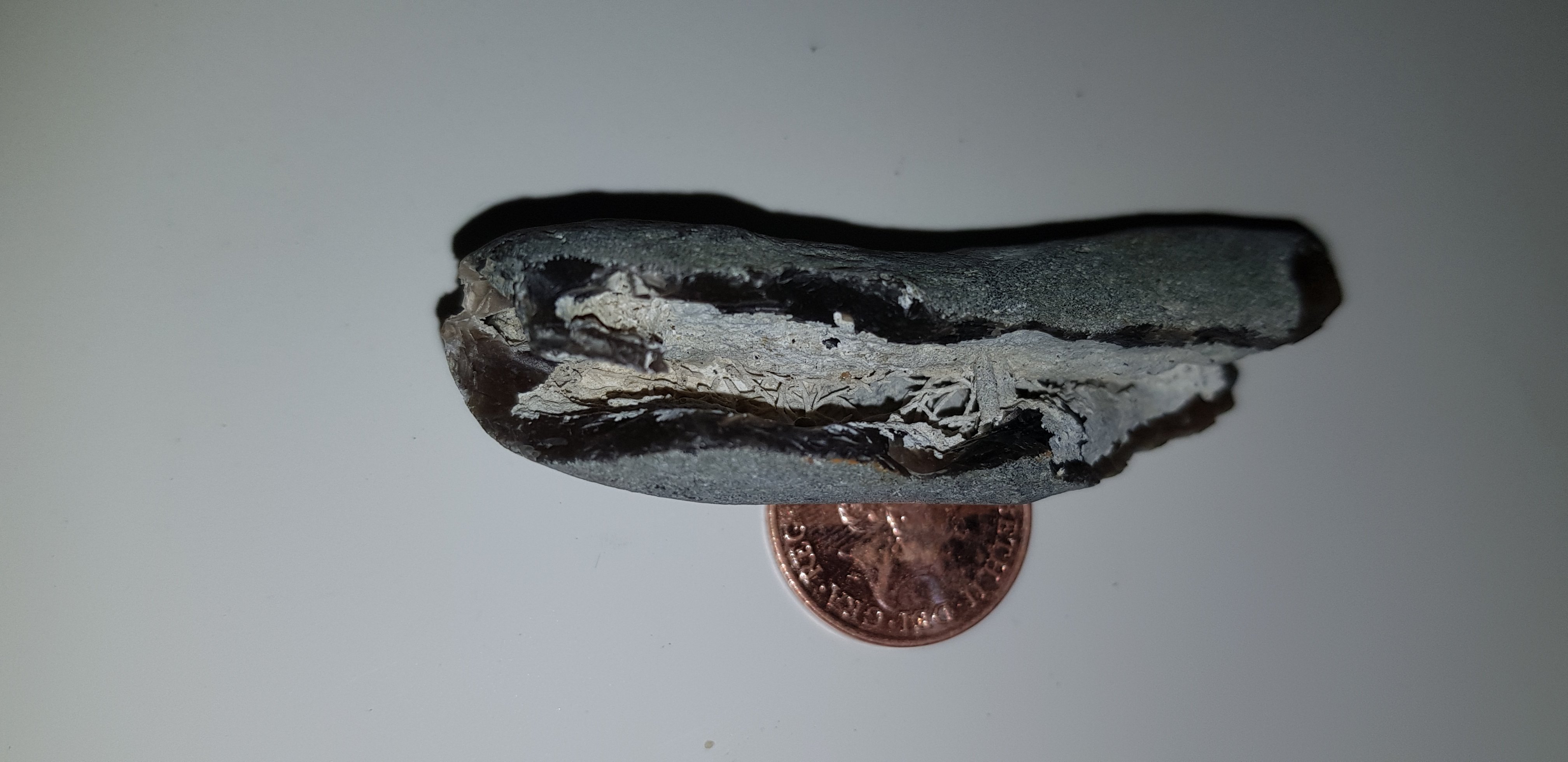 Keep finding bone and tooth shaped flint while collecting plastic ...