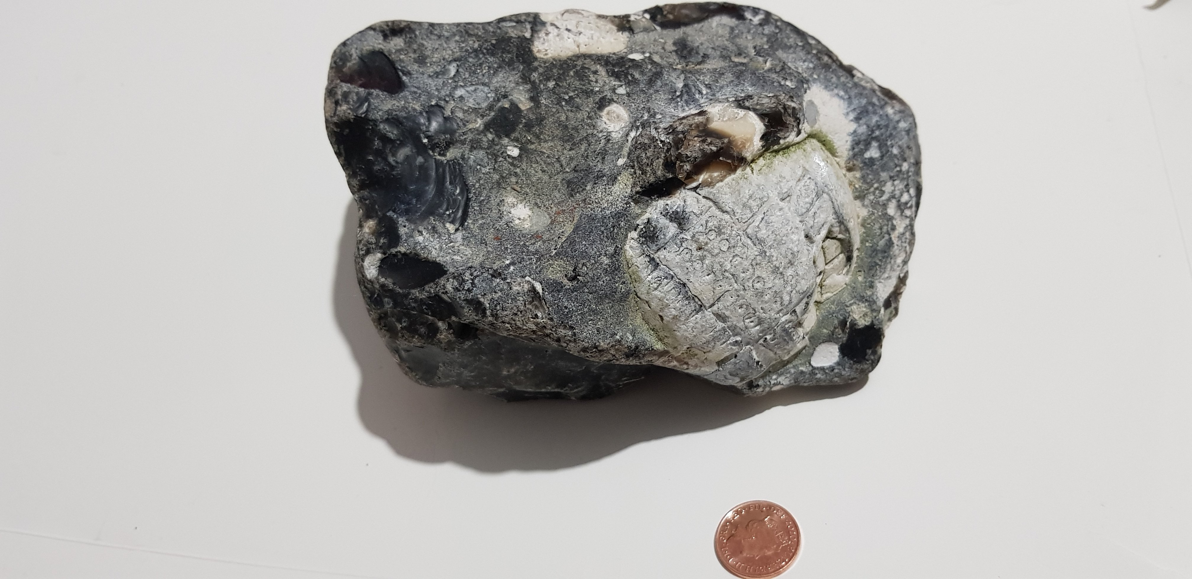 Keep finding bone and tooth shaped flint while collecting plastic ...