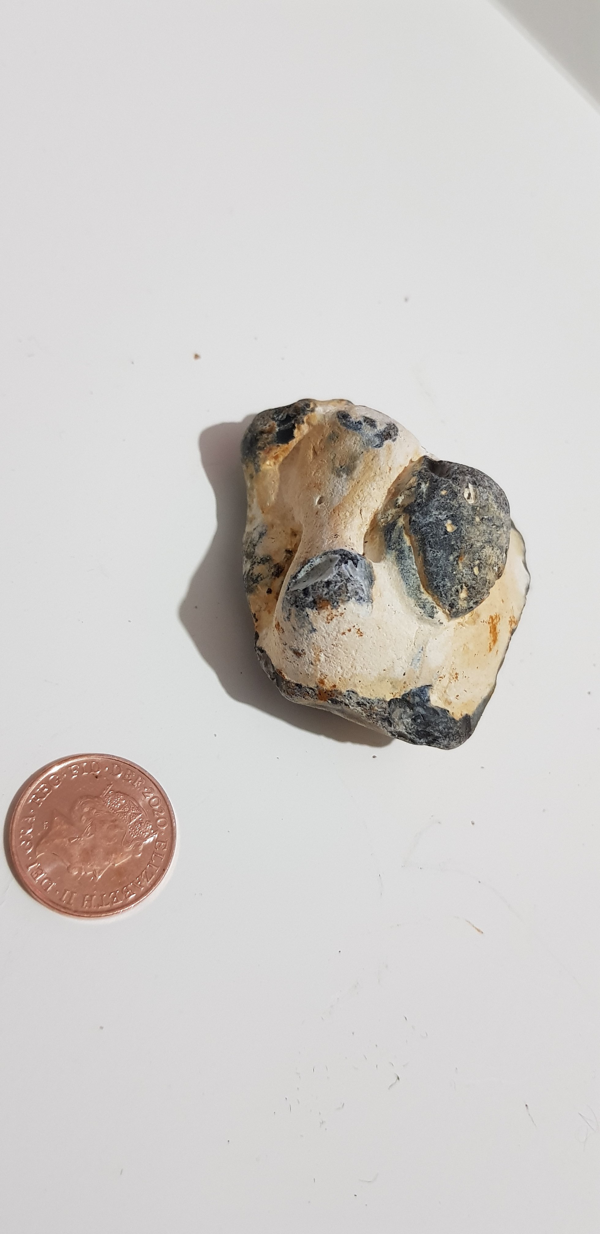 Keep finding bone and tooth shaped flint while collecting plastic ...