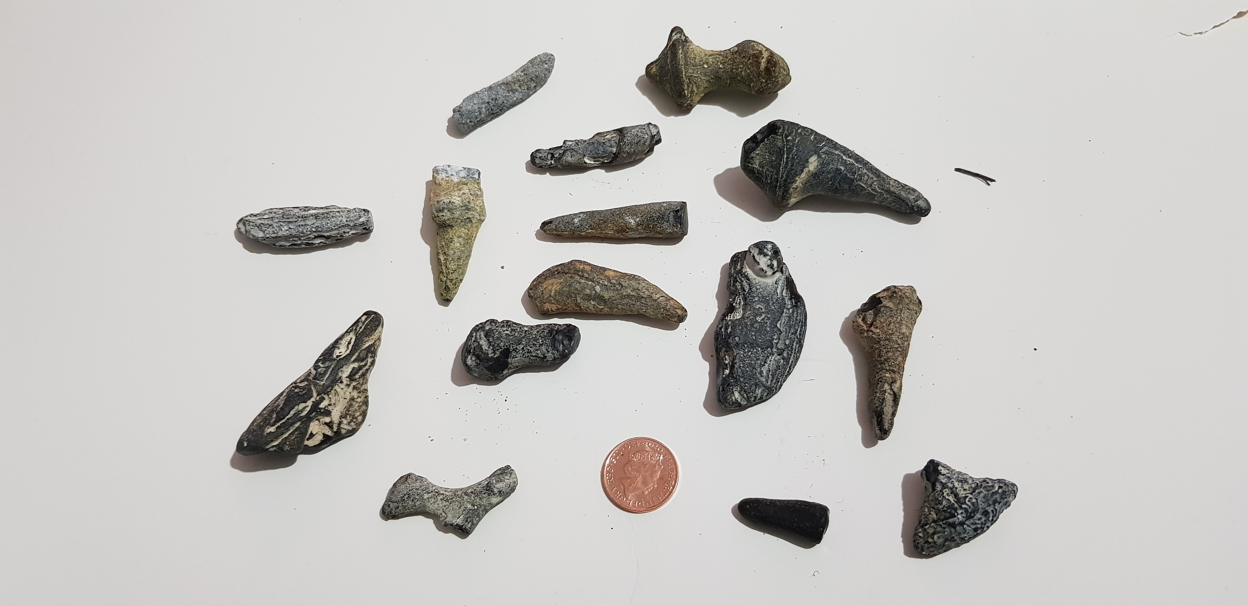 Keep finding bone and tooth shaped flint while collecting plastic ...
