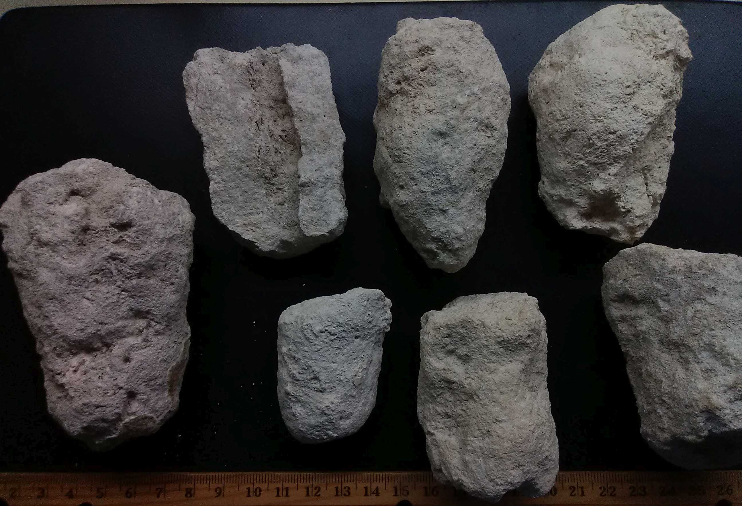 Possible Mammal Bone Fossil Cast?? - Fossil ID - The Fossil Forum
