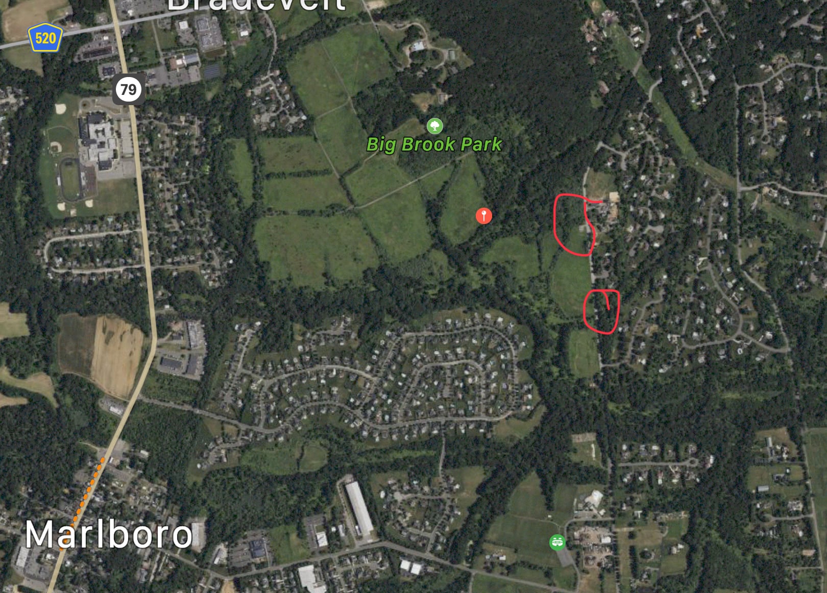 Planning a Big Brook trip! - Fossil Hunting Trips - The Fossil Forum