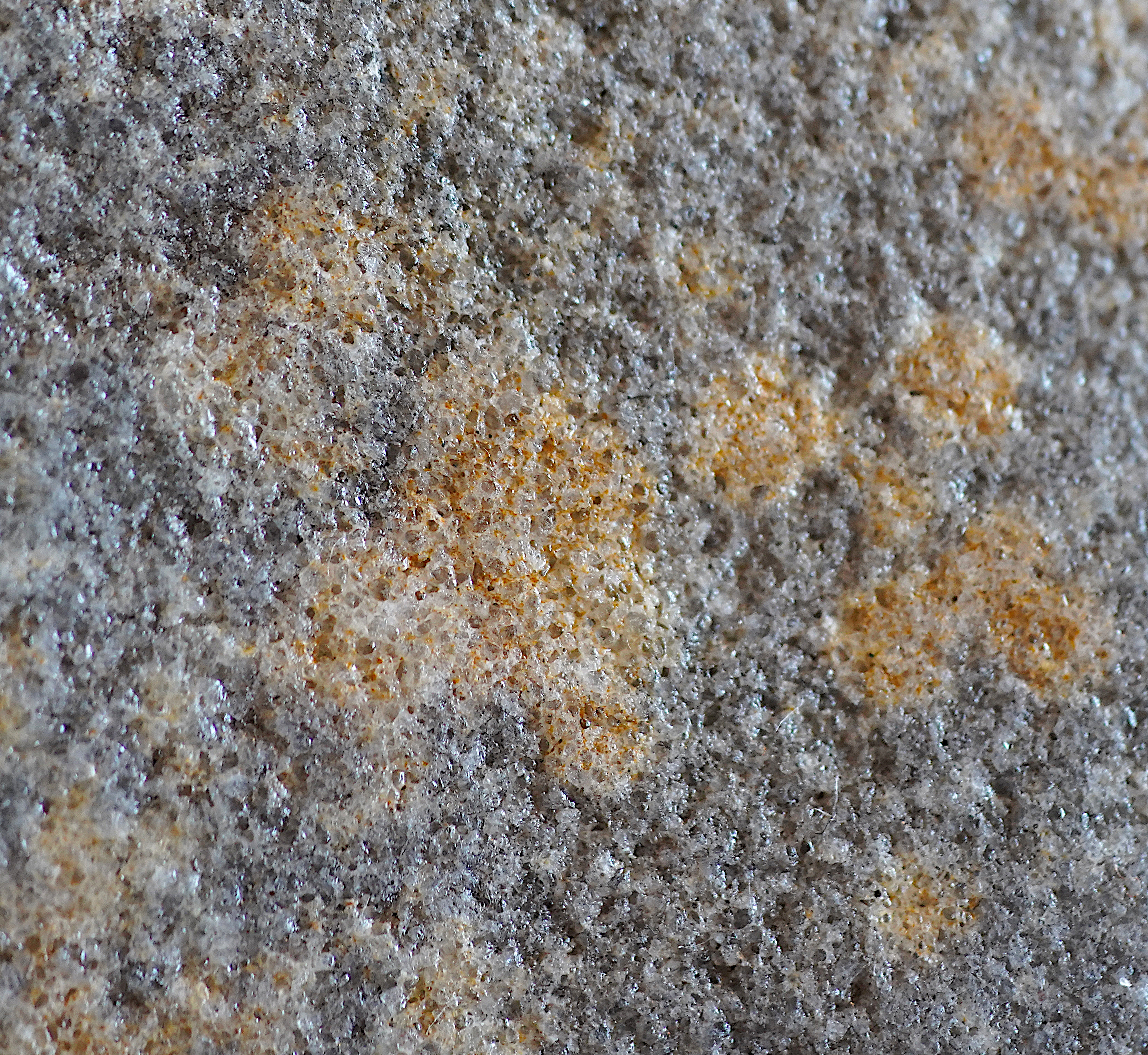 Reduction spots and microbial life - Fossil ID - The Fossil Forum