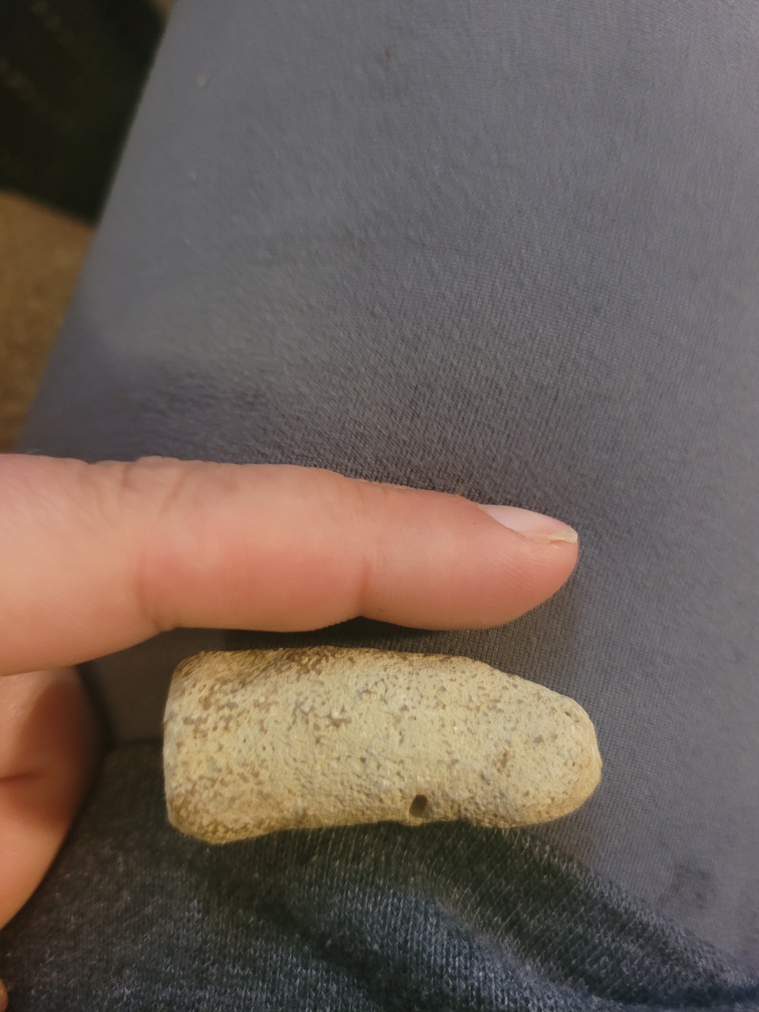 Petrified finger? - Fossil ID - The Fossil Forum