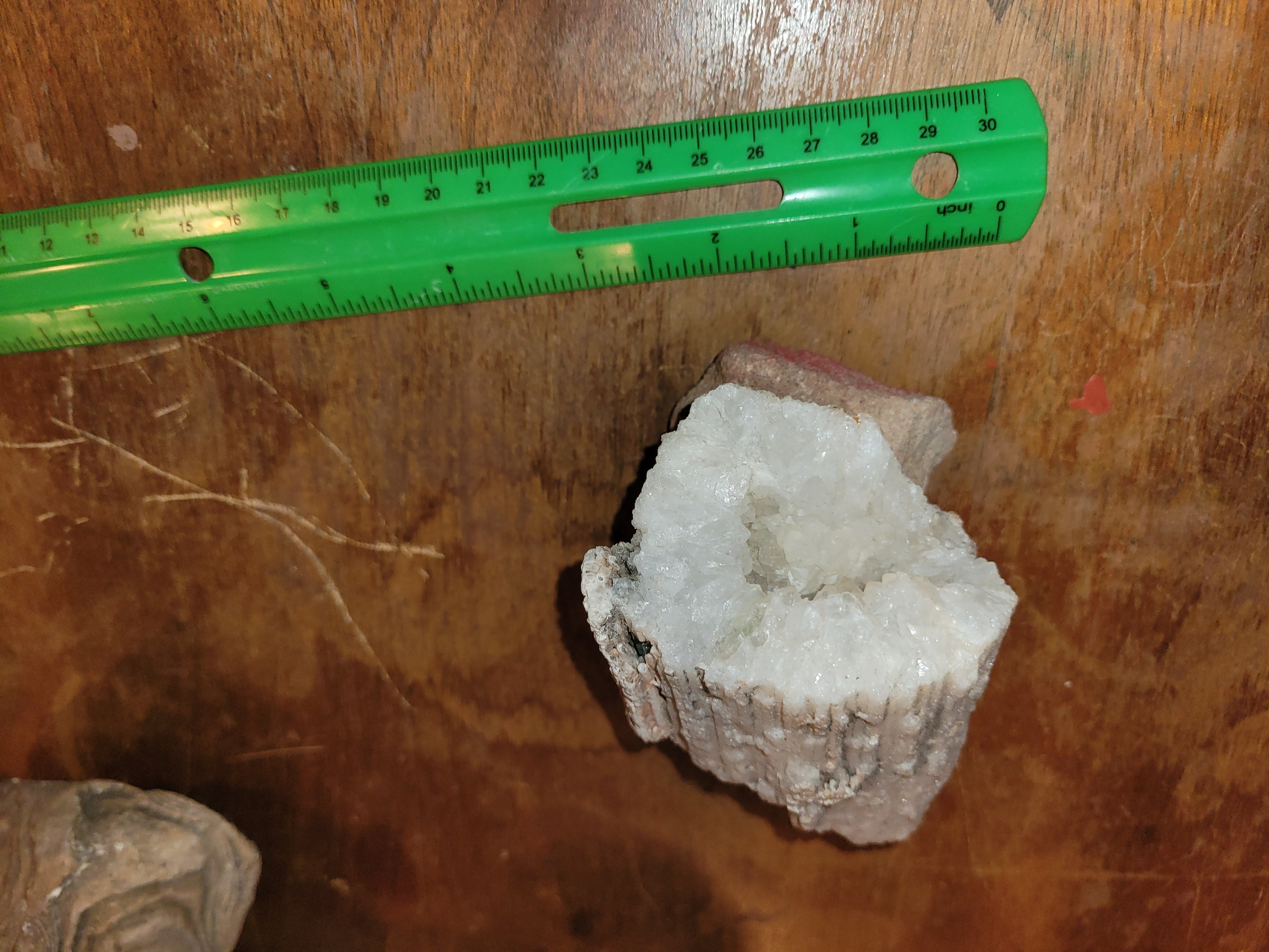 What are these Crystallized fossils found in Mountain Home, Tx ...