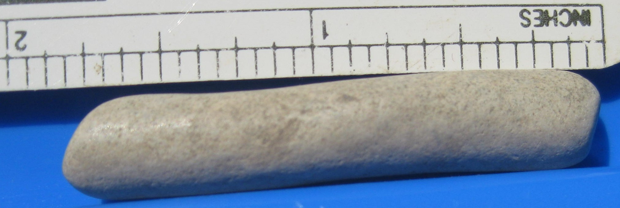 Siphuncle ? - Fossil ID - The Fossil Forum