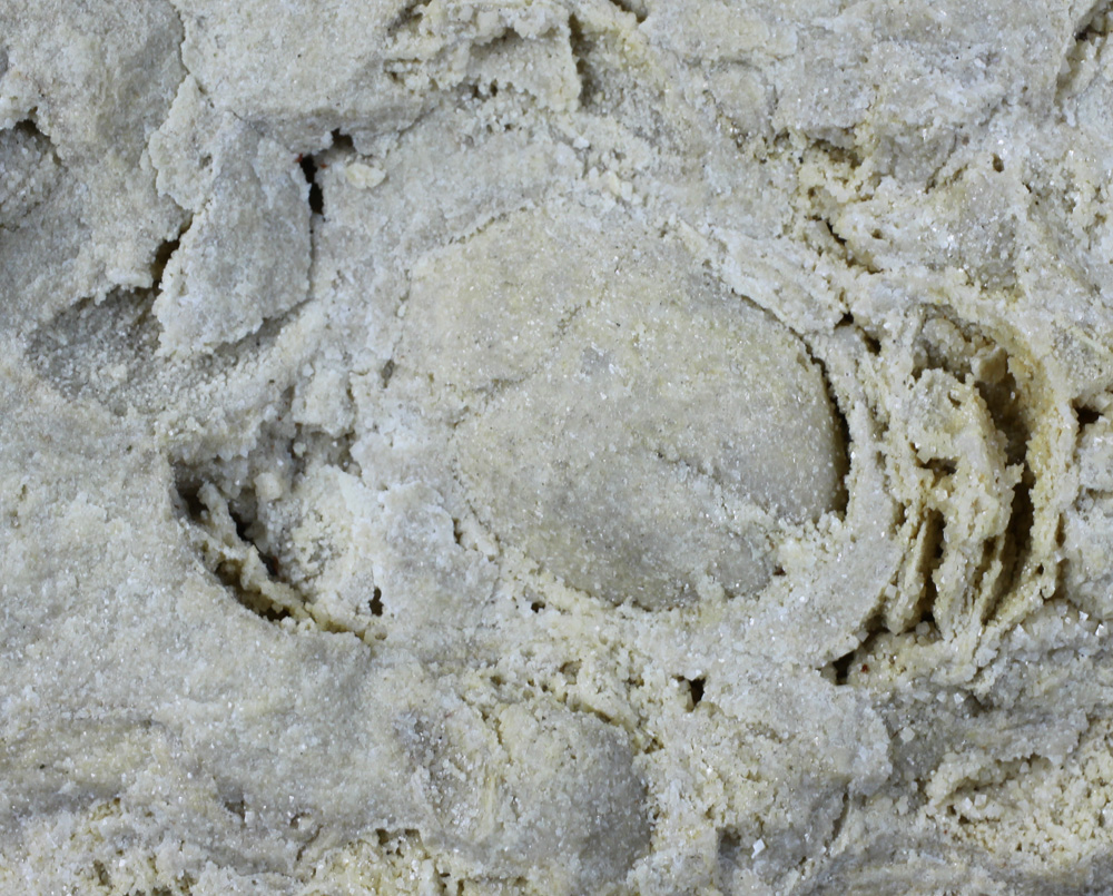 Any ways to disaggregate sandstone? - Fossil Preparation - The Fossil Forum