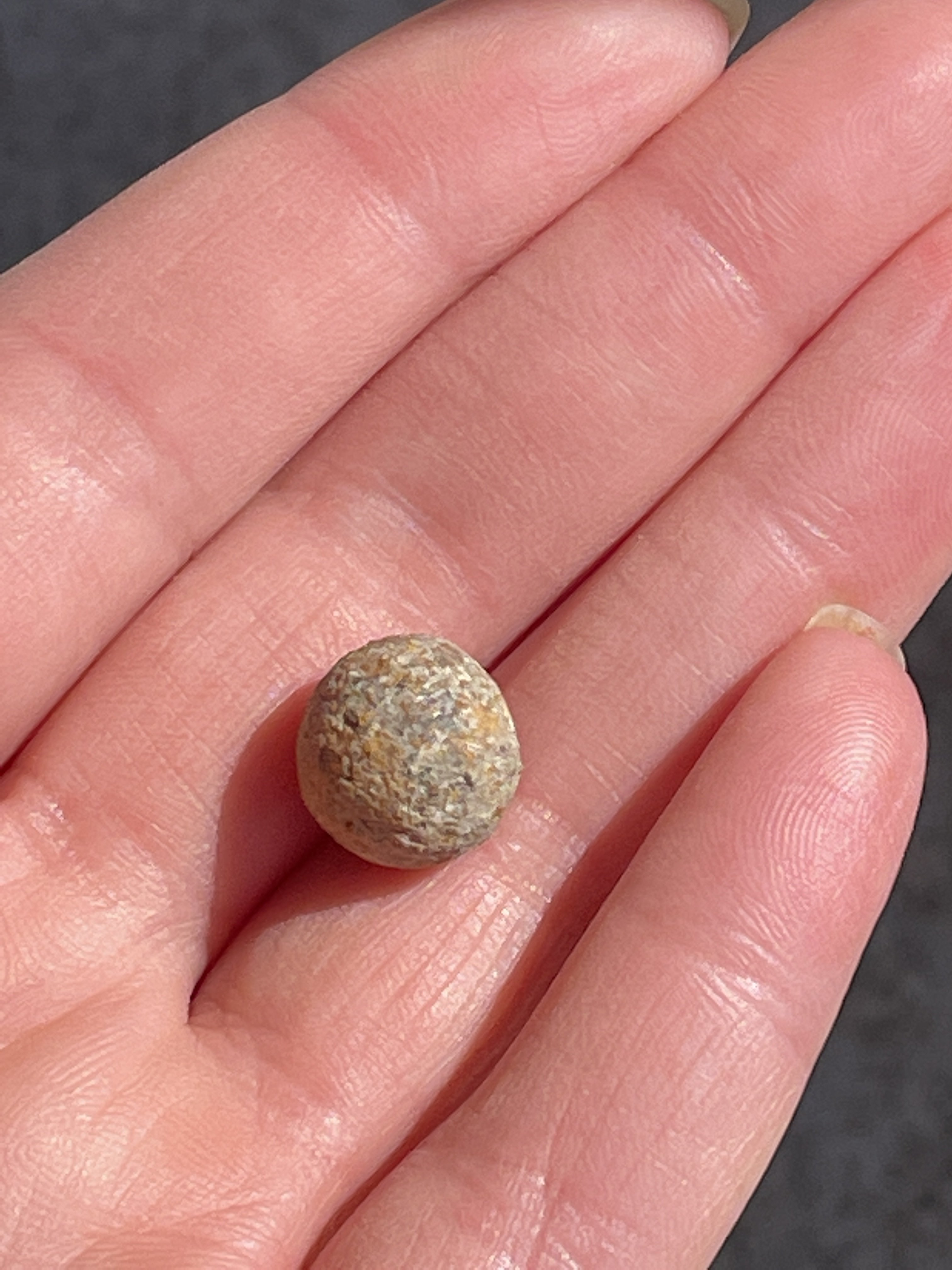 Rock/iron balls?? - Fossil ID - The Fossil Forum