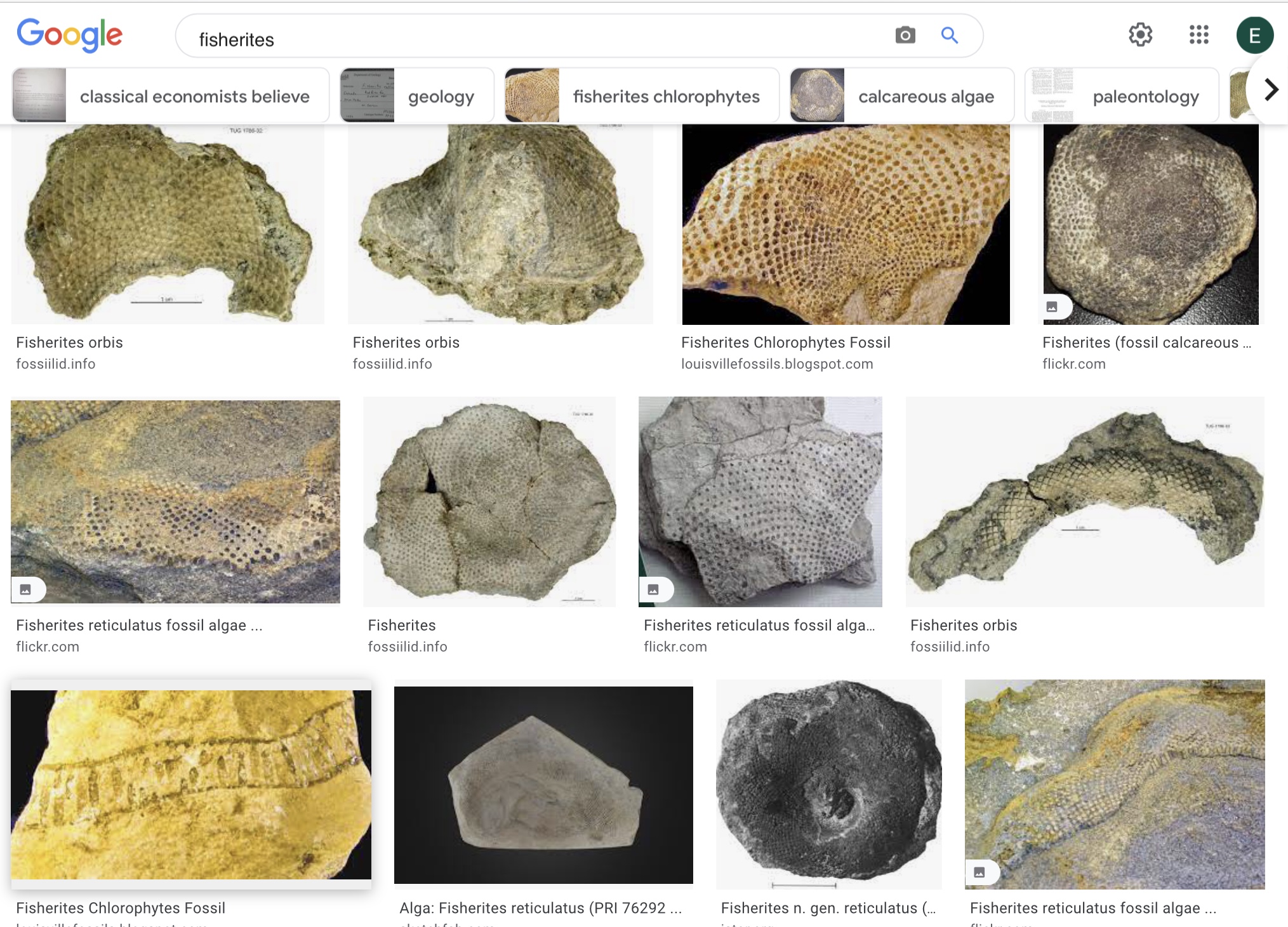 Would this be a snake or lizard fossil? Its a creek rock from a creek ...