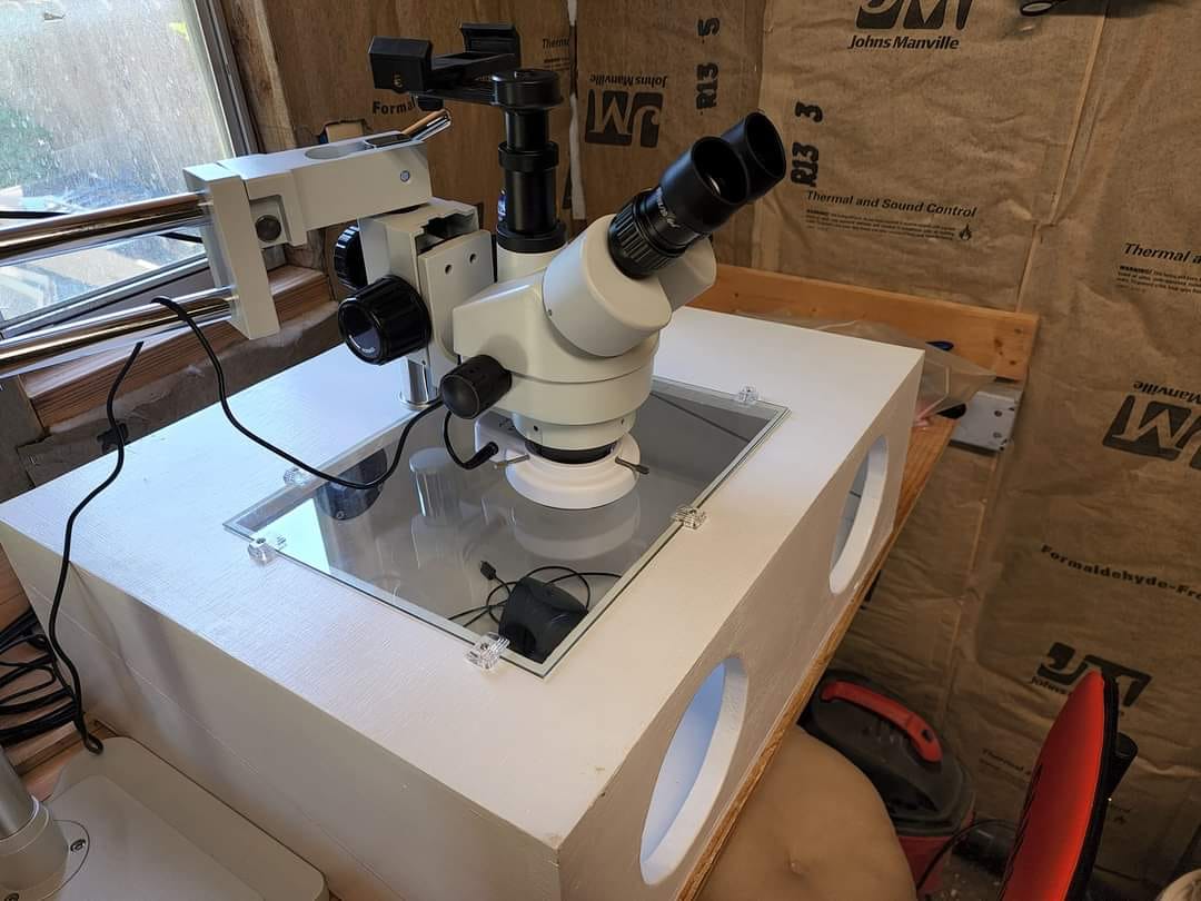 My finished prep box - Fossil Preparation - The Fossil Forum