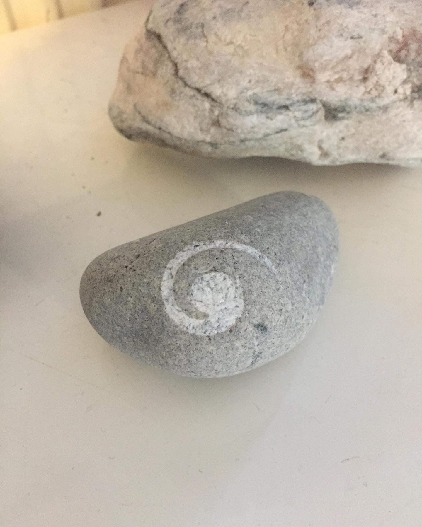 Stone found with crystal swirl - Fossil ID - The Fossil Forum