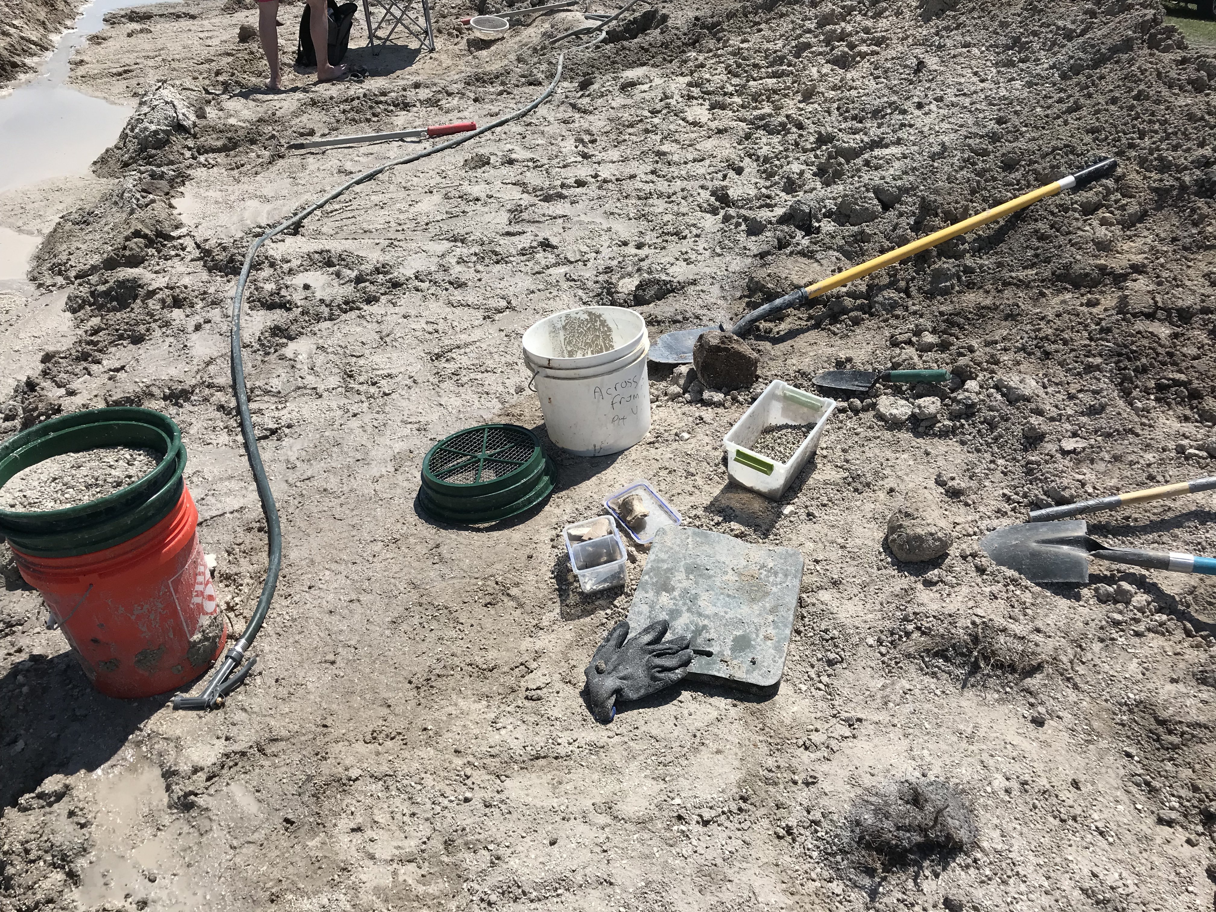 5-14-22: Bone Valley Fossil Farm Visit - Fossil Hunting Trips - The ...