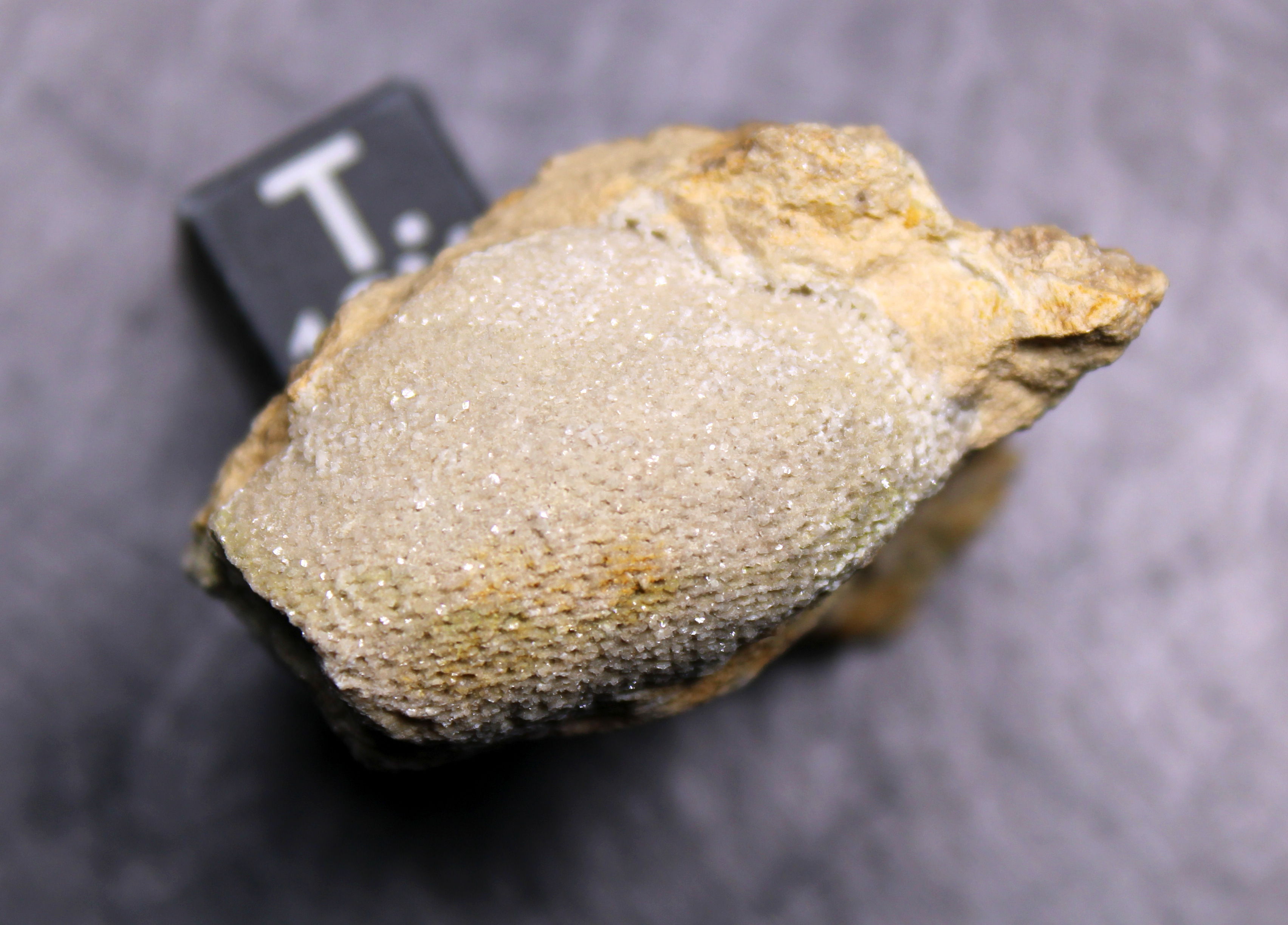 Northern Illinois Ordovician Collecting - Fossil Hunting Trips - The ...