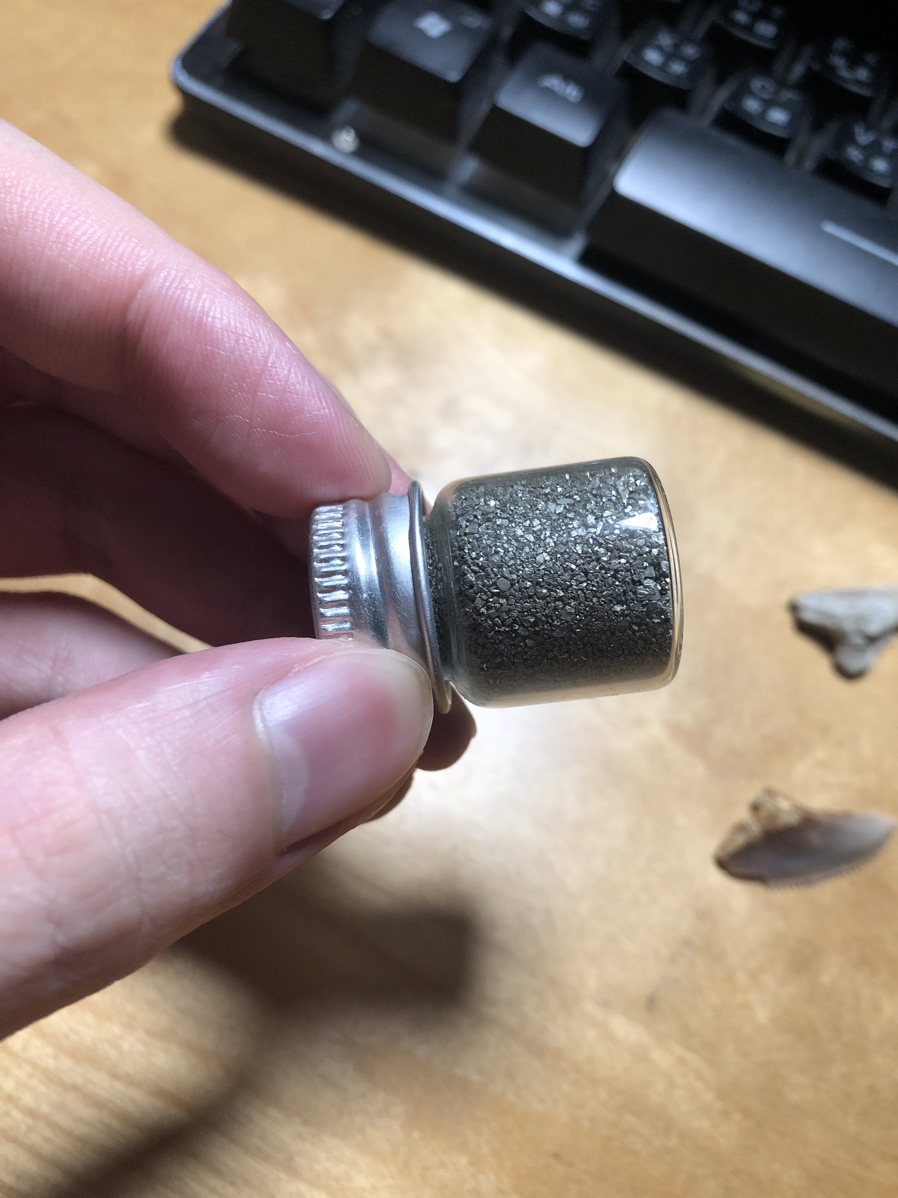 Big black megalodon tooth with pyrite in bourlette - Is It Real? How to ...