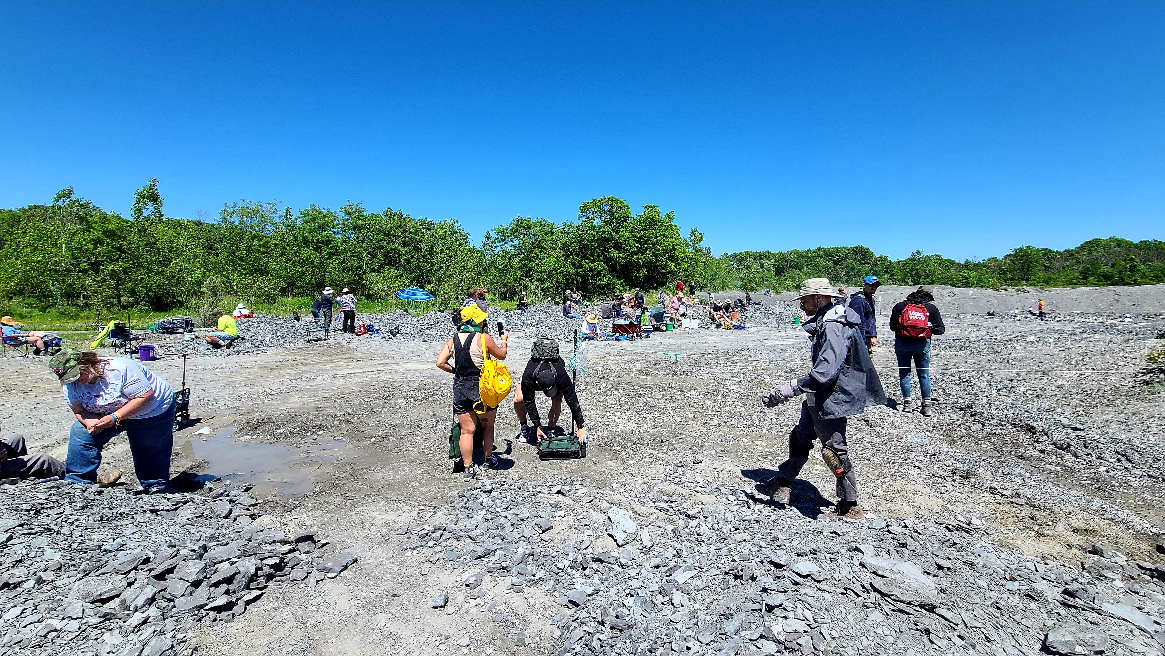 1st time visit to Penn Dixie - Fossil Hunting Trips - The Fossil Forum