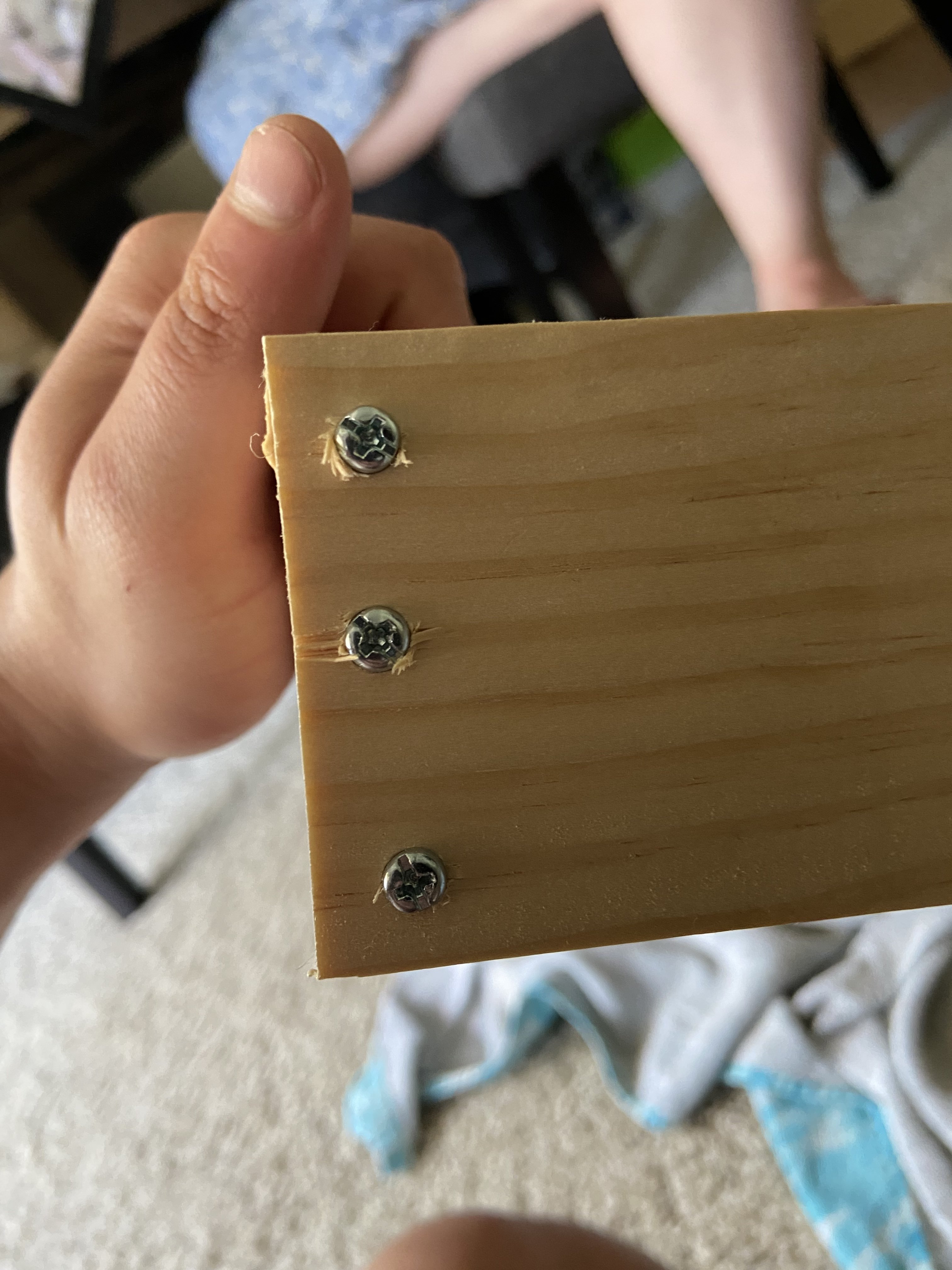 How I made a wooden shark tooth/fossil sifter! - Collecting Gear - The ...