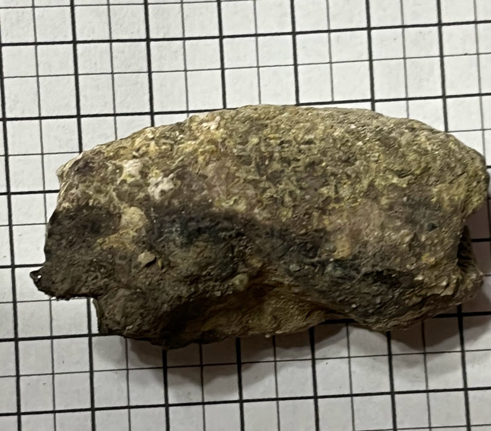 unknown possible coprolite from marine late cretaceous - Fossil ID ...