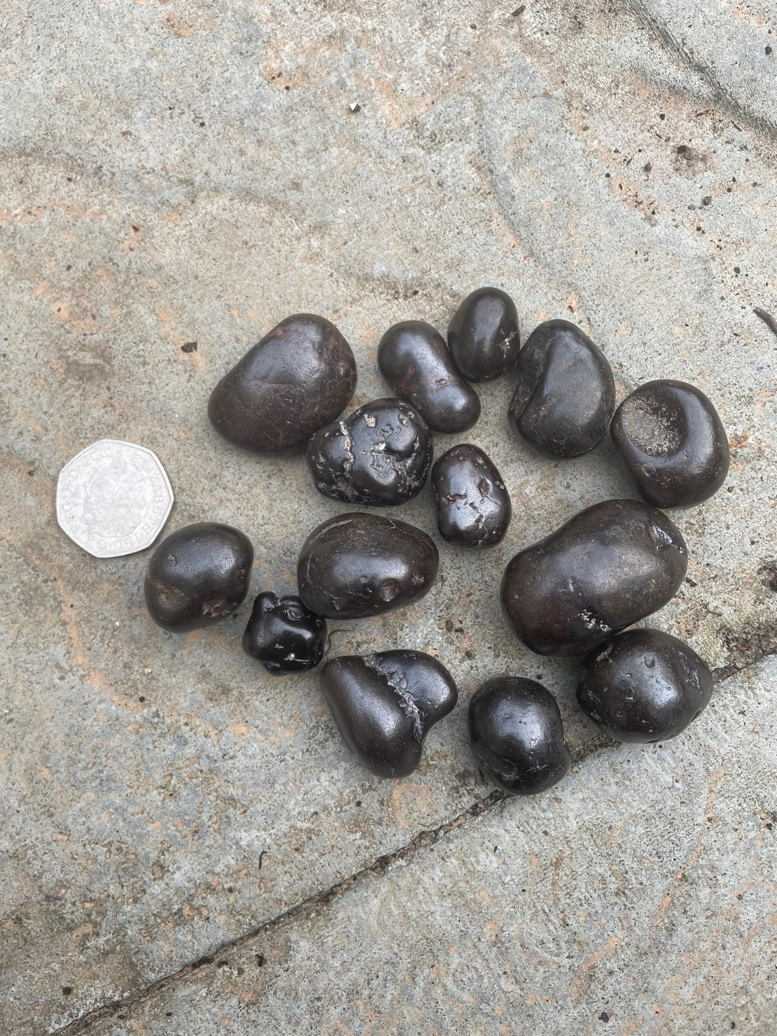 Heavy shiny "stones" - Fossil ID - The Fossil Forum
