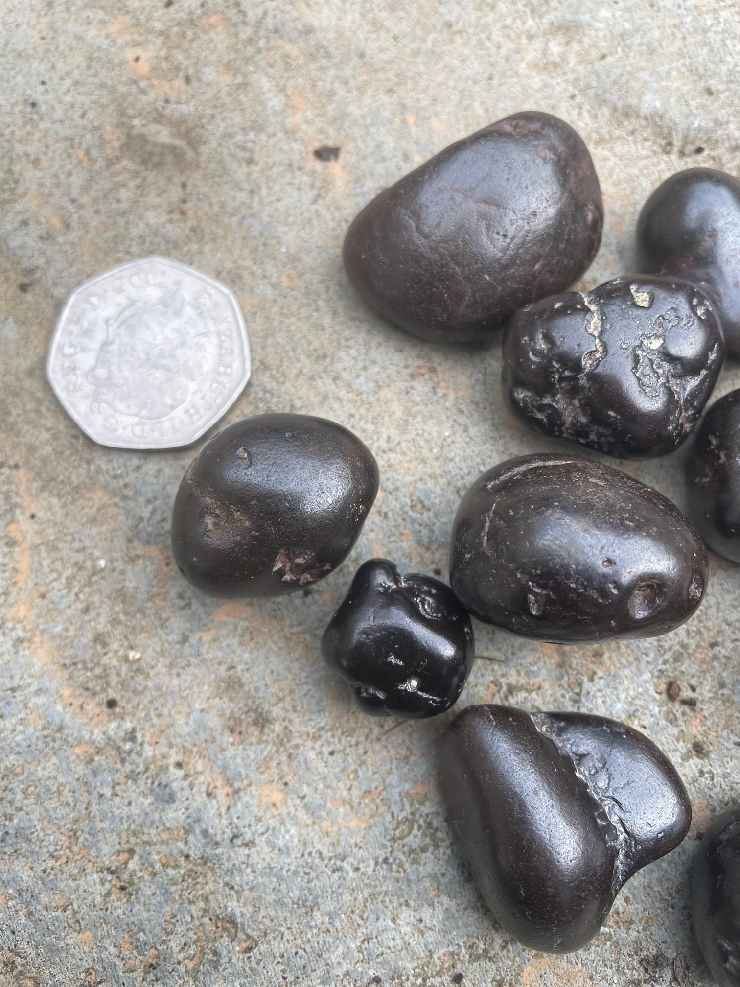 Heavy shiny "stones" - Fossil ID - The Fossil Forum