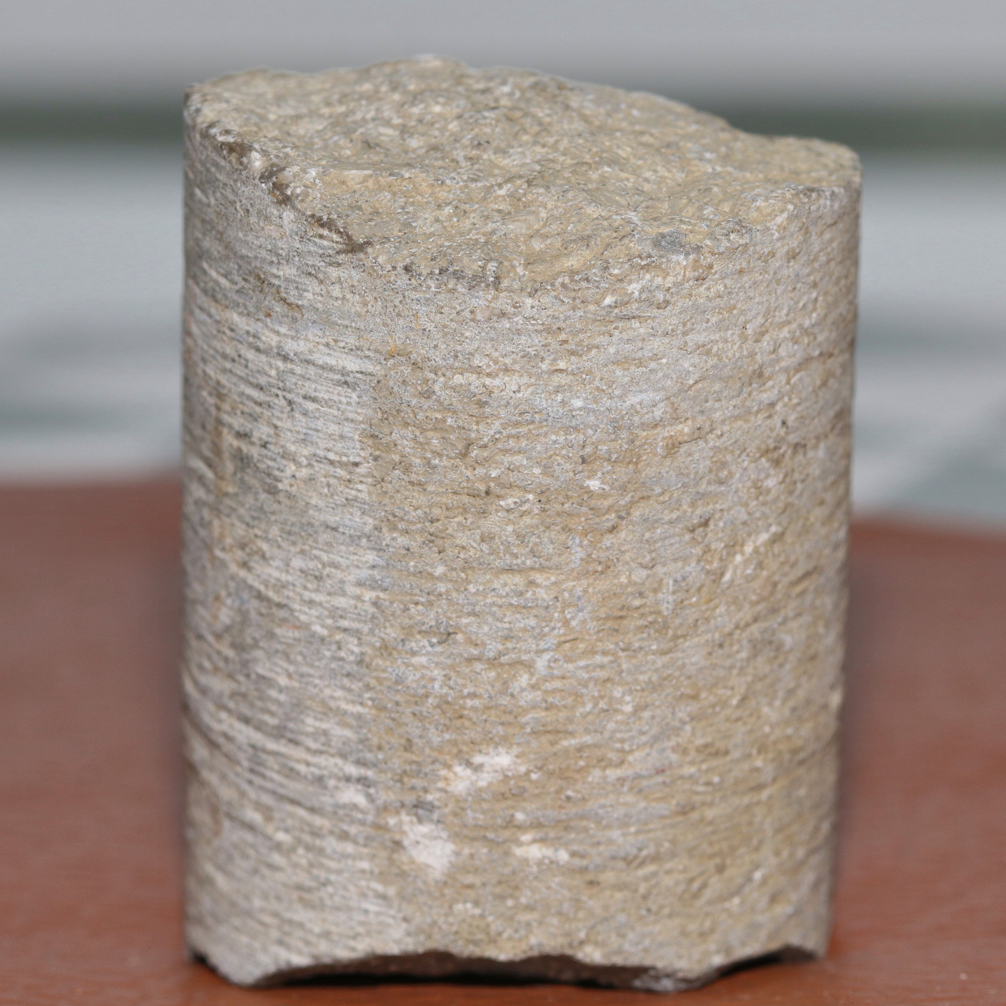 Perfectly cylindrical fossil or concrete? - Fossil ID - The Fossil Forum