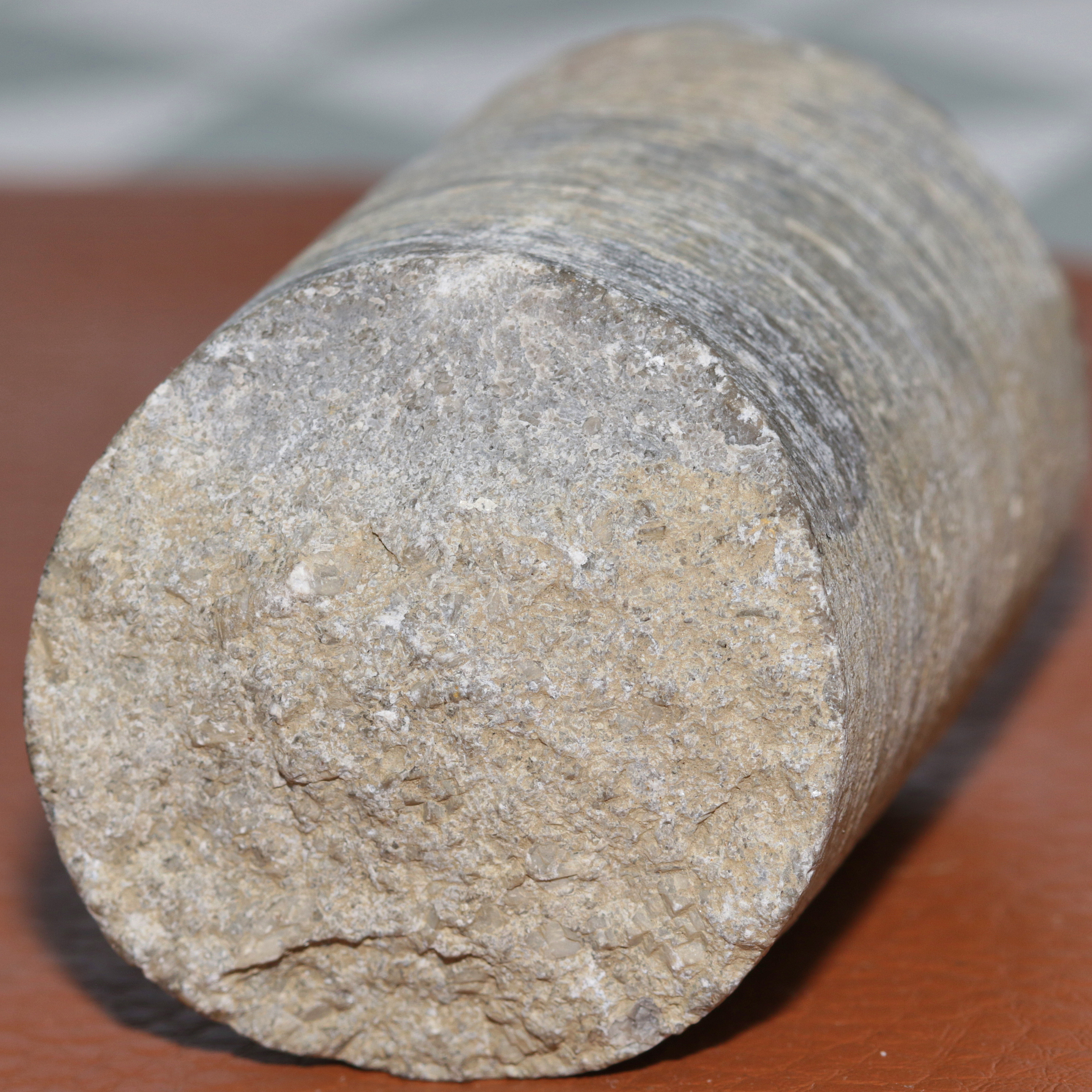Perfectly cylindrical fossil or concrete? - Fossil ID - The Fossil Forum