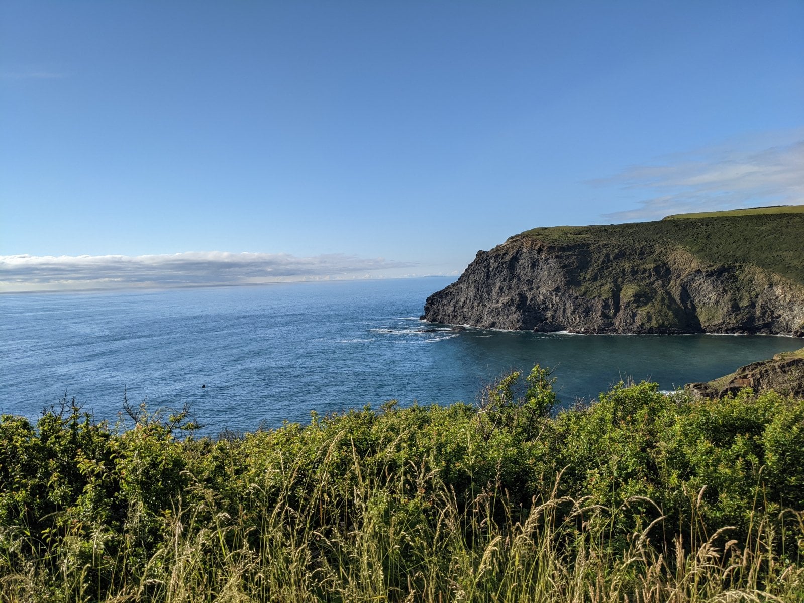 Coastline of the Crackingon Formation. - The Fossil Forum